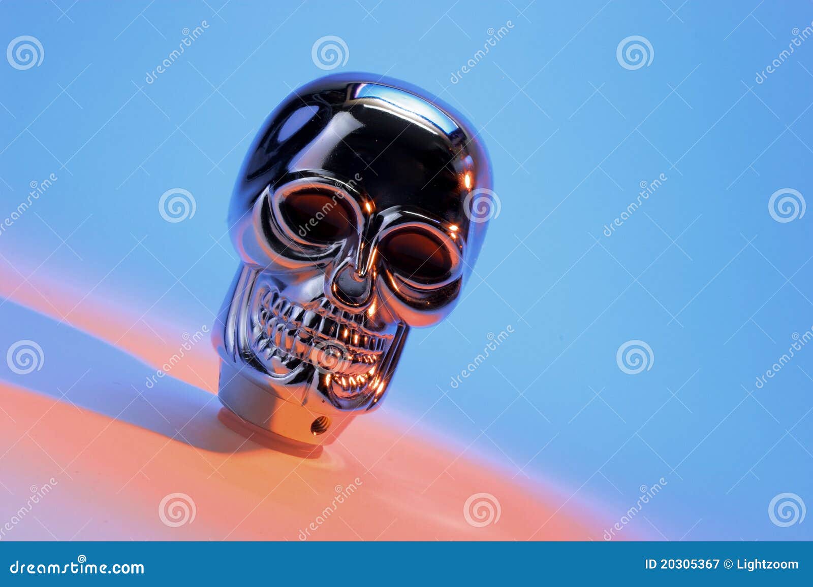 Skull stock image. Image of anatomy, still, death, halloween - 20305367