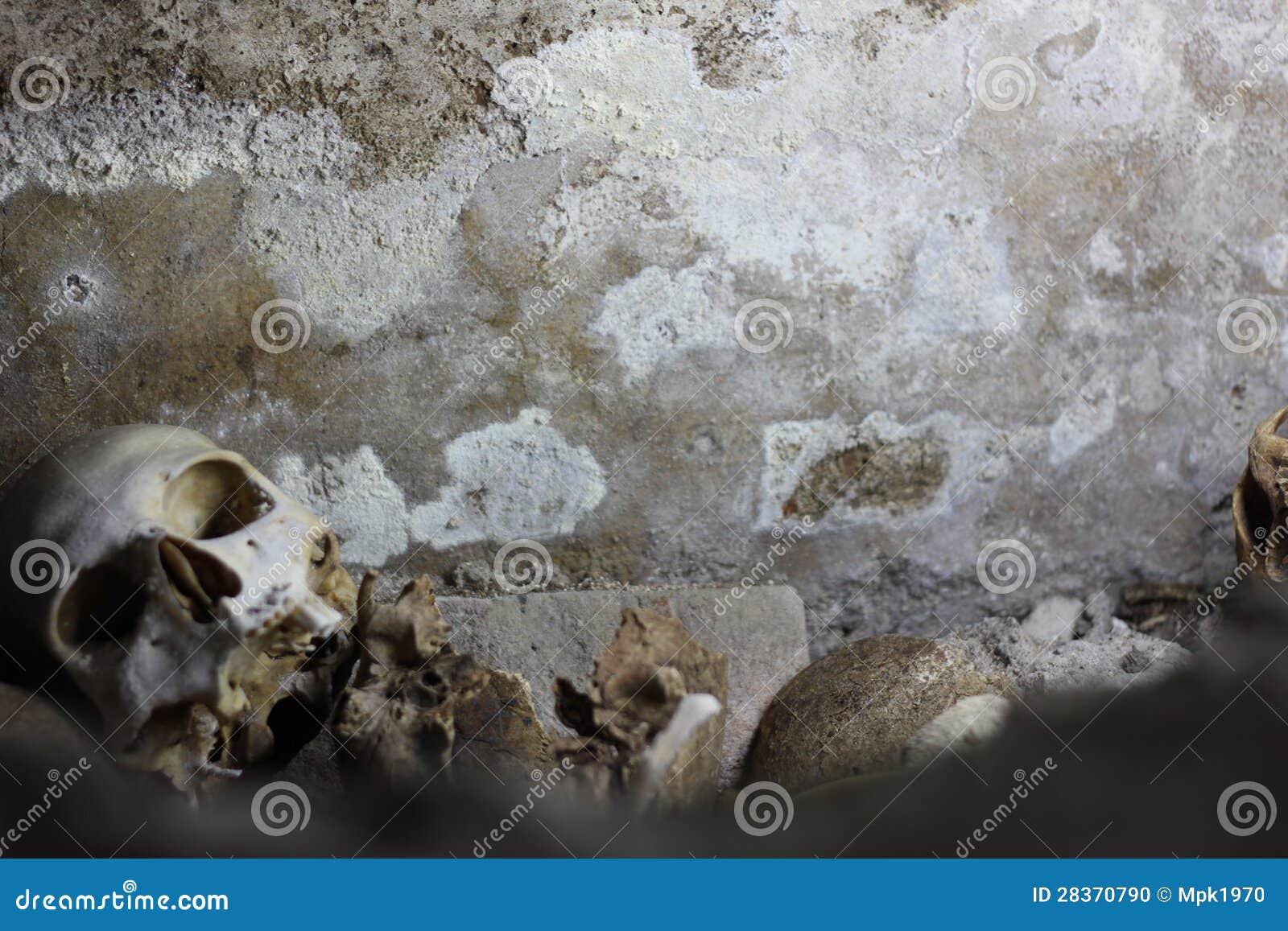 Skull and Bones stock photo. Image of dead, body, bone - 28370790