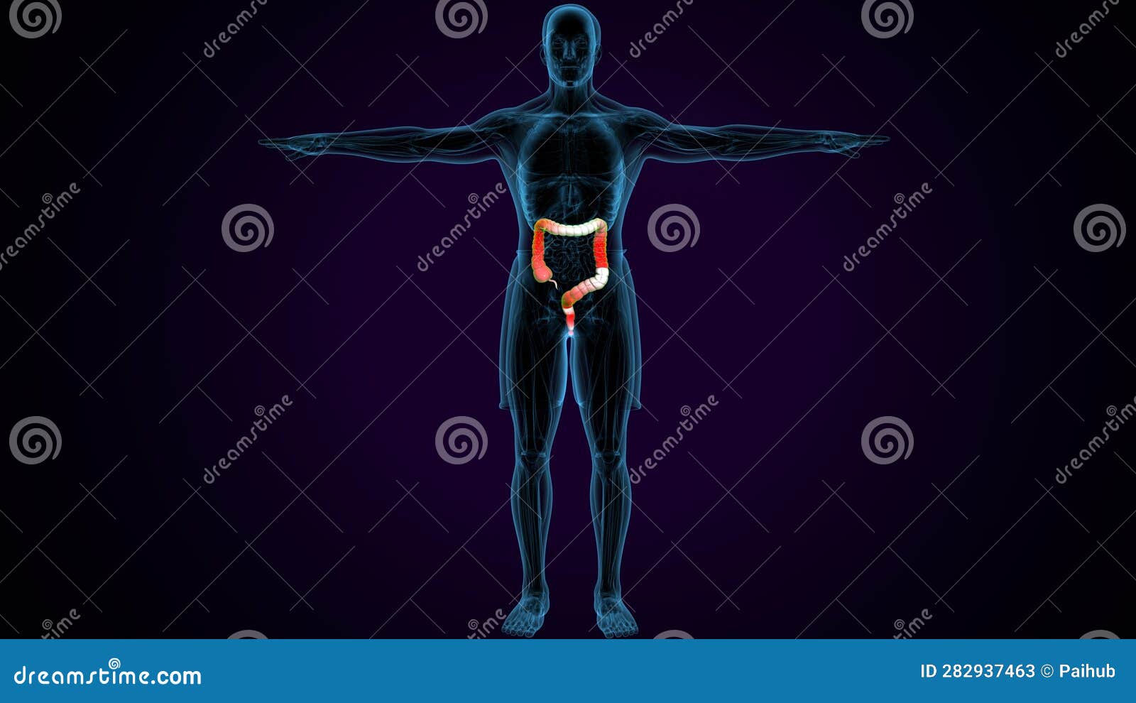 Maxilla, Lower Jaw Pictogram. Human Jaw With Teeth And Tongue ...