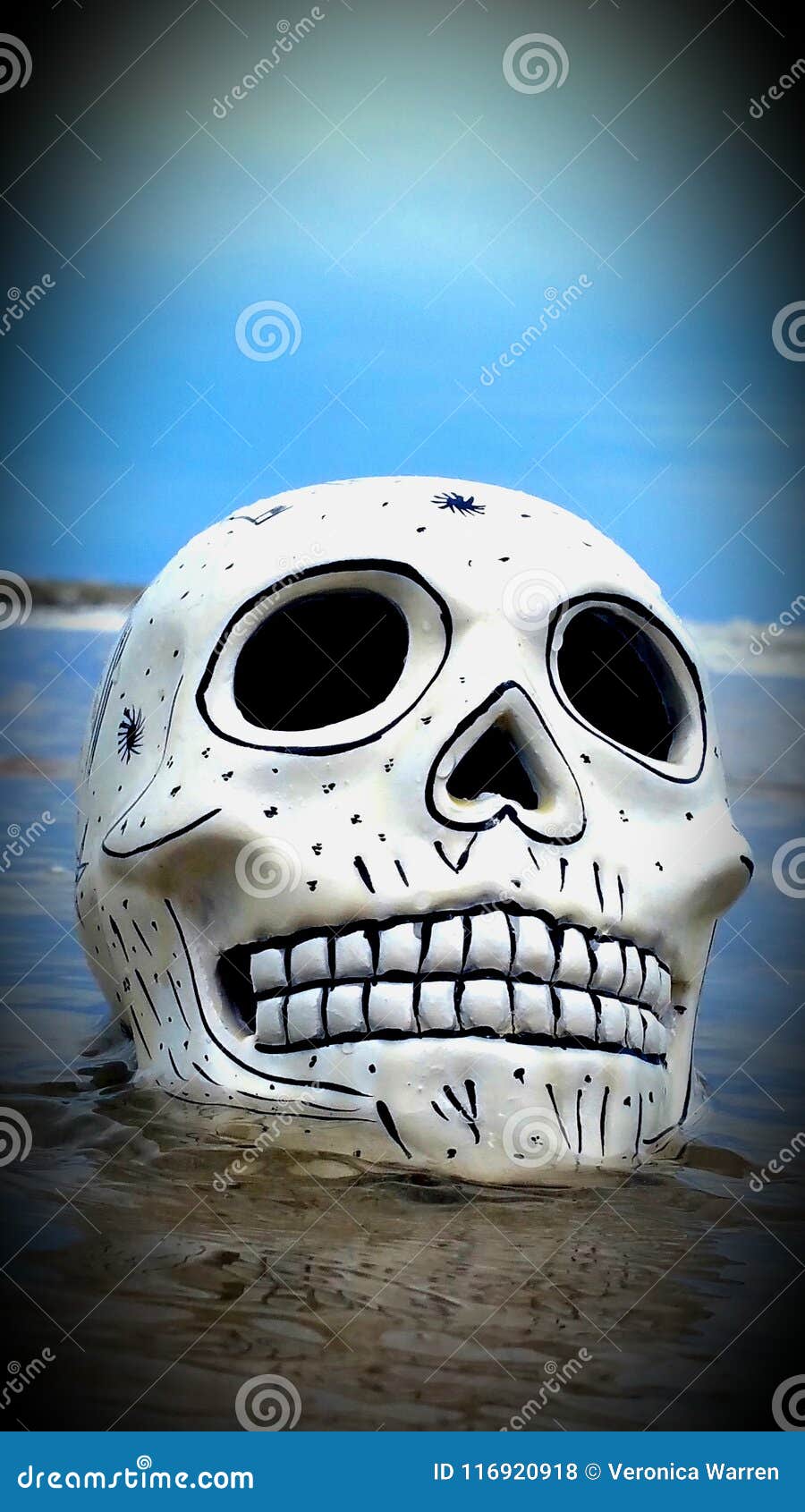 Skull on beach stock photo. Image of water, skull, ocean - 116920918