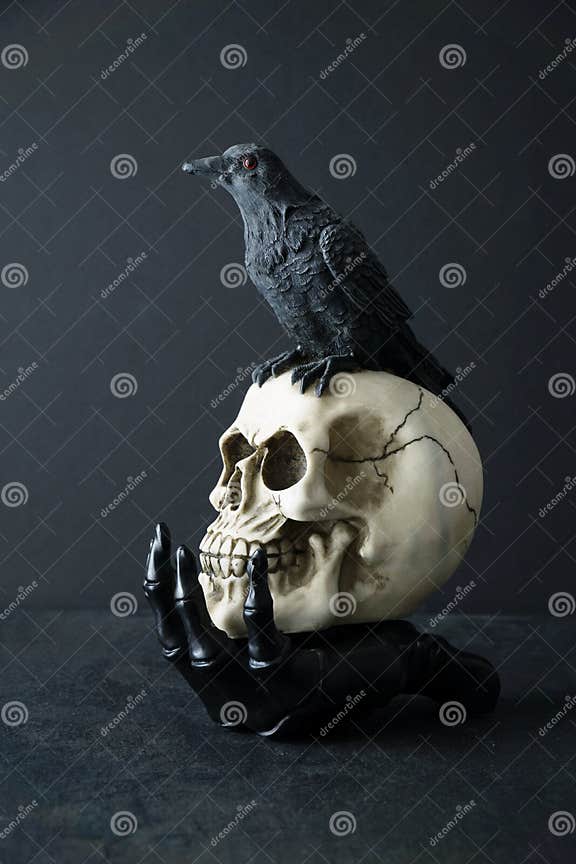Skull with Black Bird in Hand Stock Photo - Image of death, halloween ...