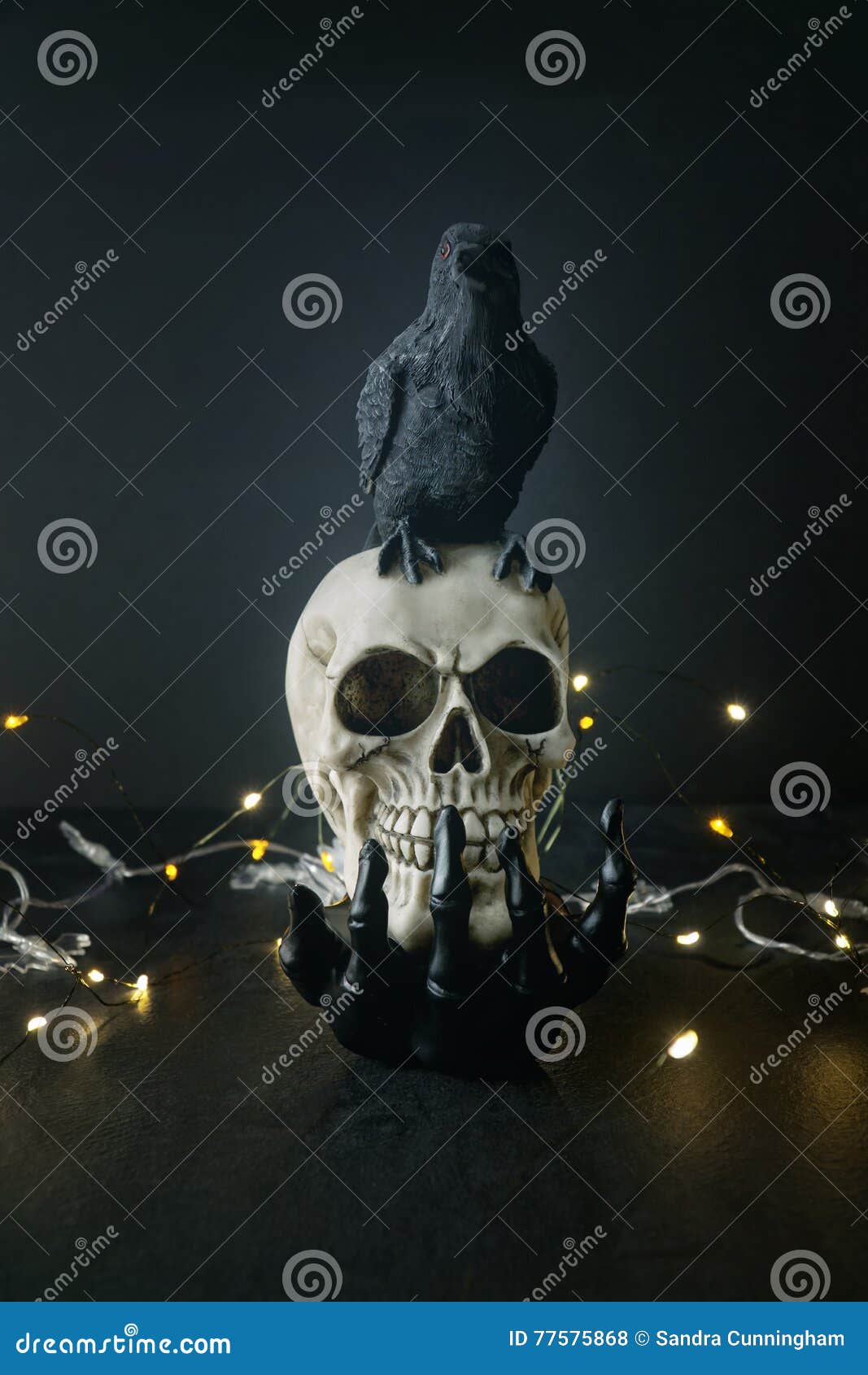 Skull with Black Bird Sitting on Skeleton Hand Stock Photo - Image of ...