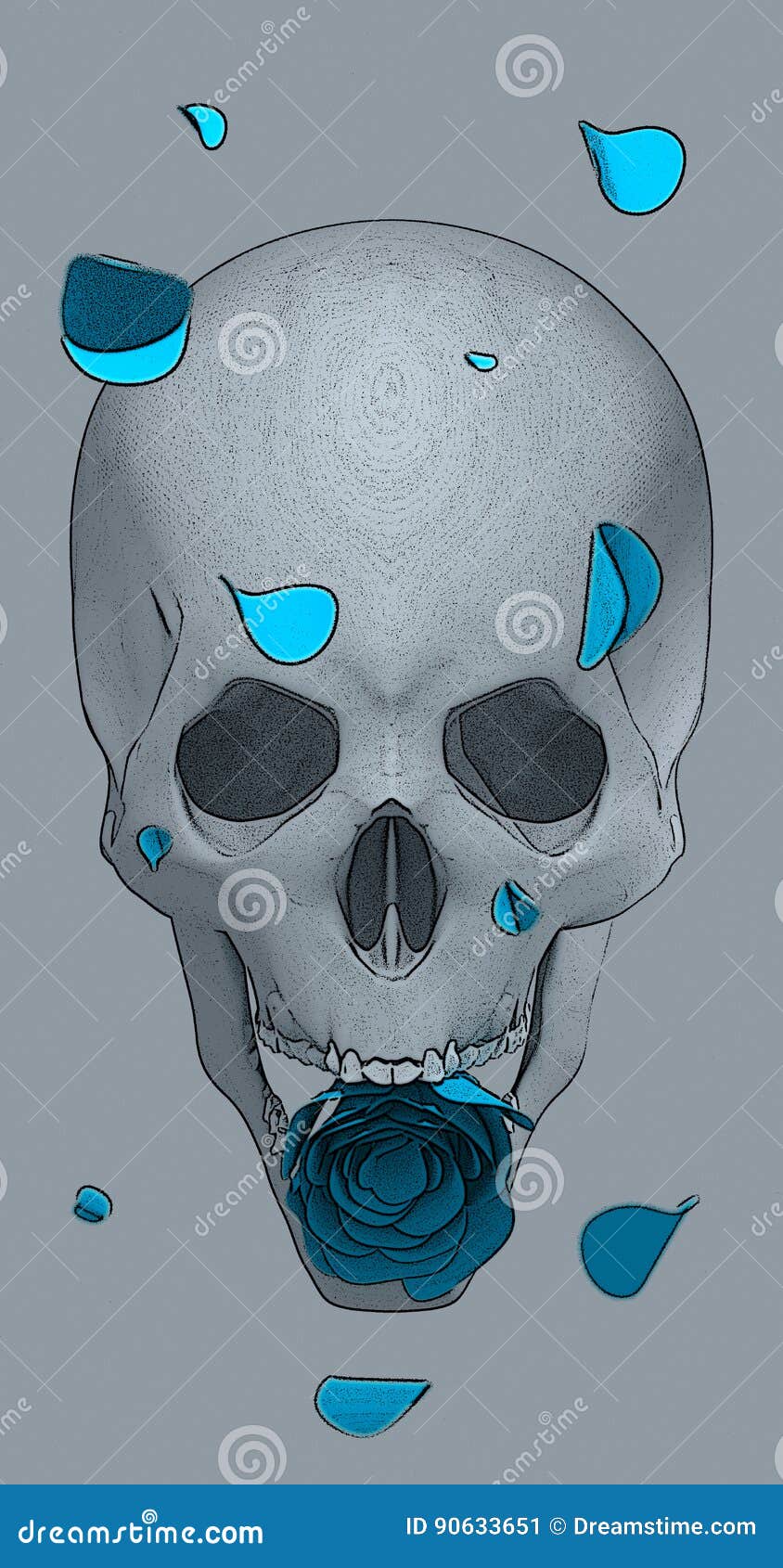 Skull with a blue rose stock illustration. Illustration of simplicity ...