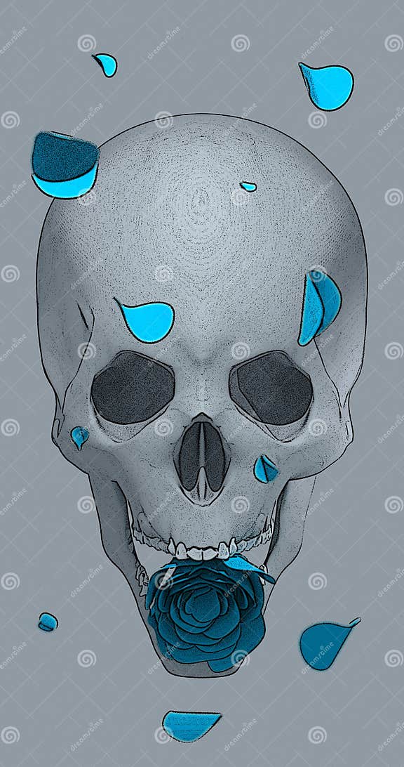 Skull with a blue rose stock illustration. Illustration of simplicity ...