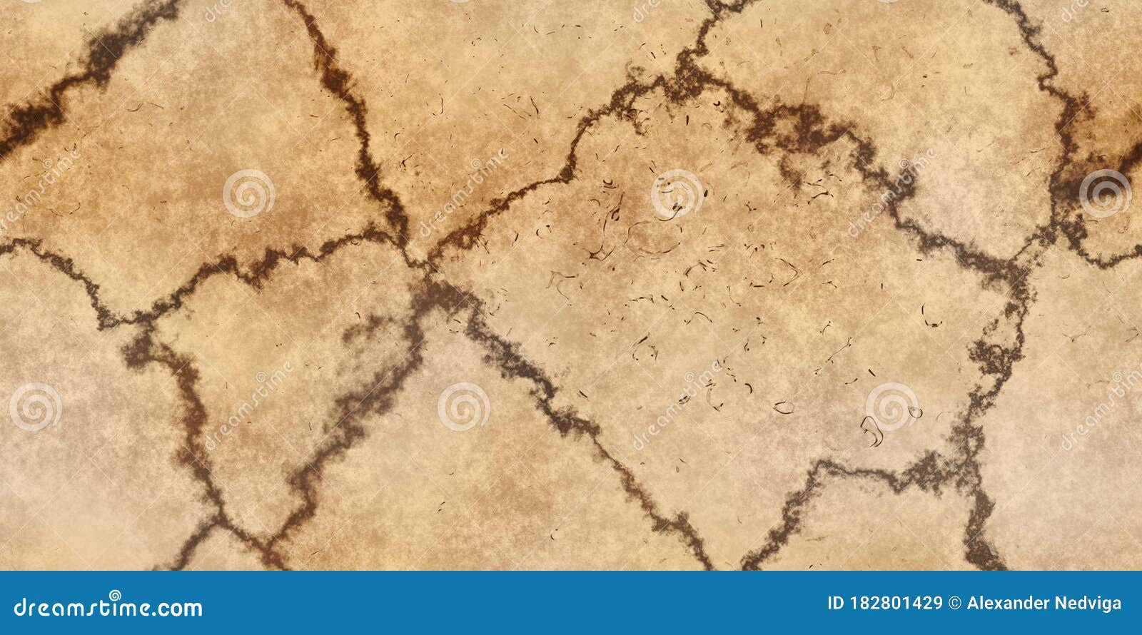 Skull Bone Backgrounds stock image. Image of anatomy - 182801429