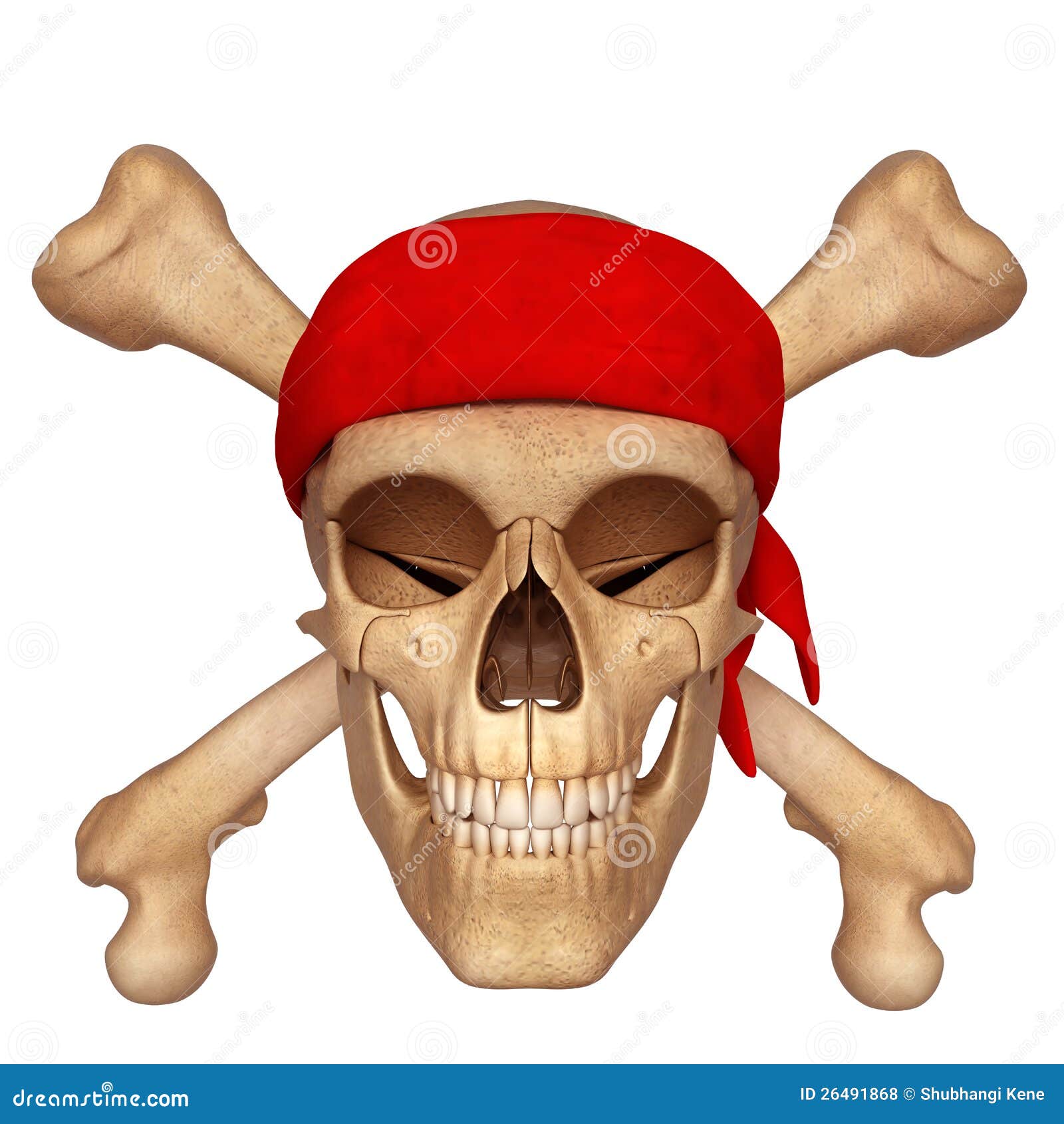 Skull with Bone and Red Scarf Stock Illustration - Illustration of nose ...