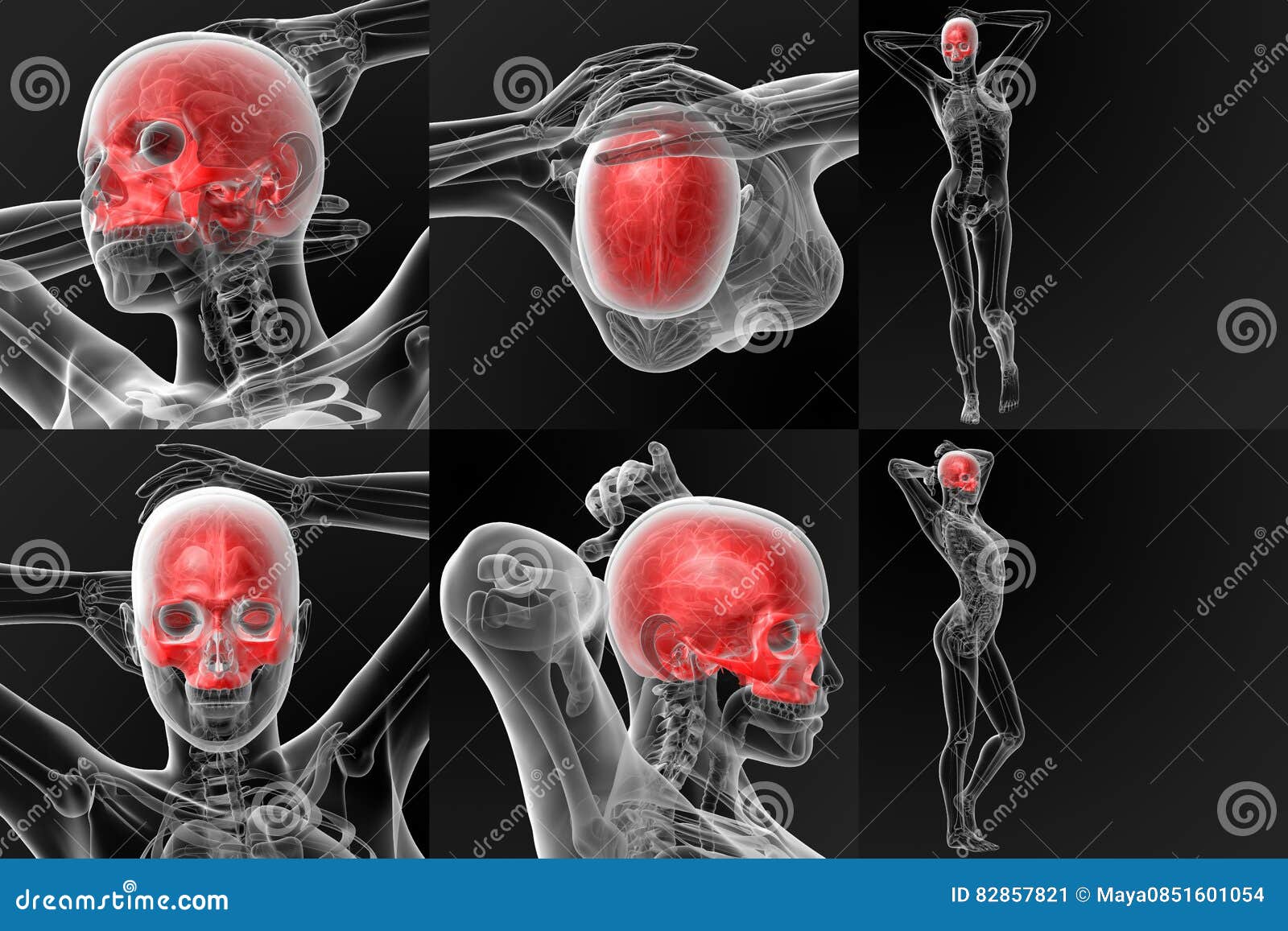 Skull bone - upper half stock illustration. Illustration of face - 82857821