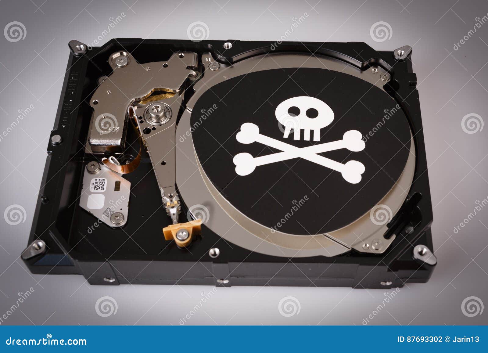 Skull with Bones and Hard Drive from Computer, Cyber Security Concept ...