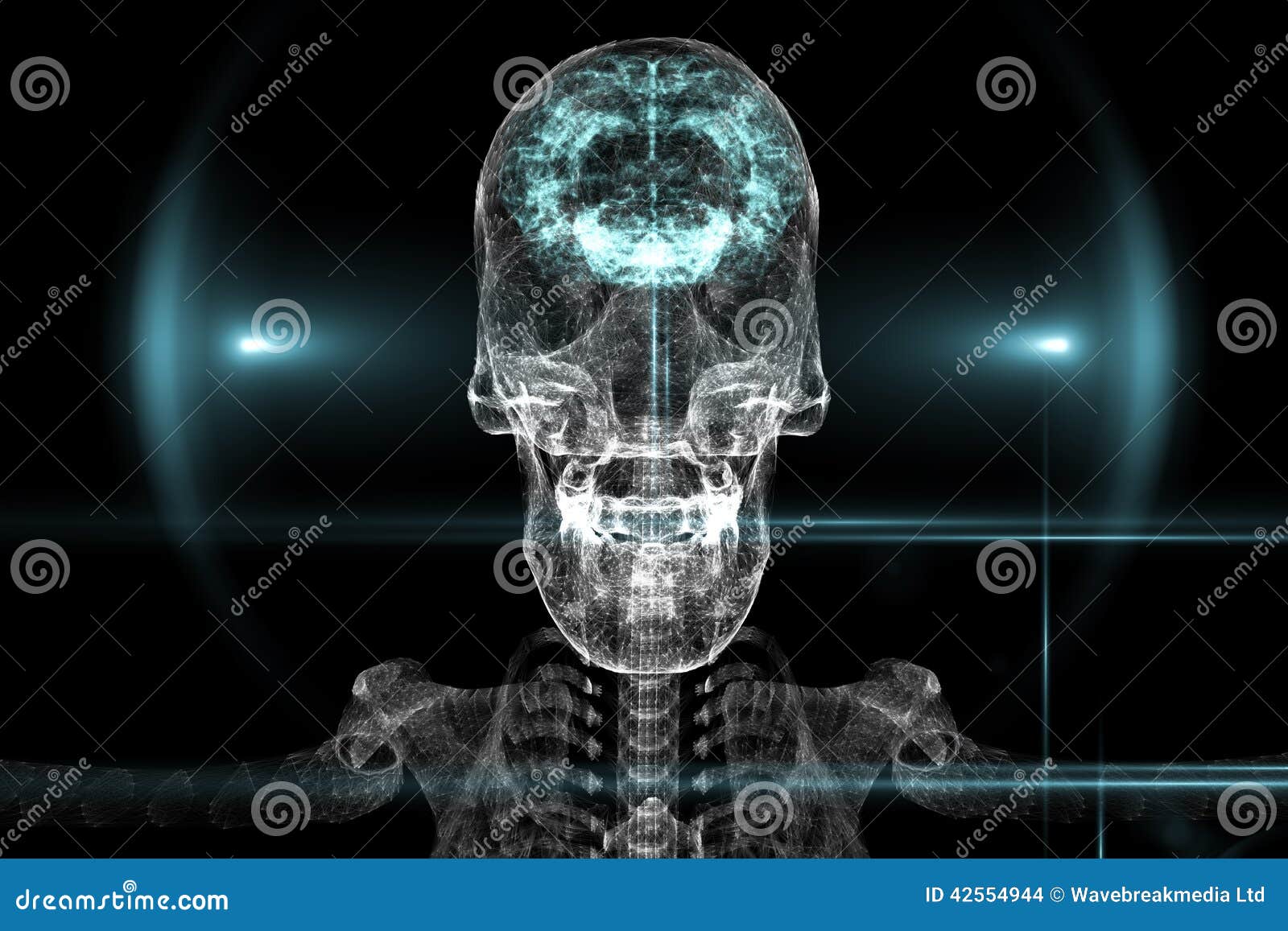 Skull and Brain Graphic on Black Stock Illustration - Illustration of ...
