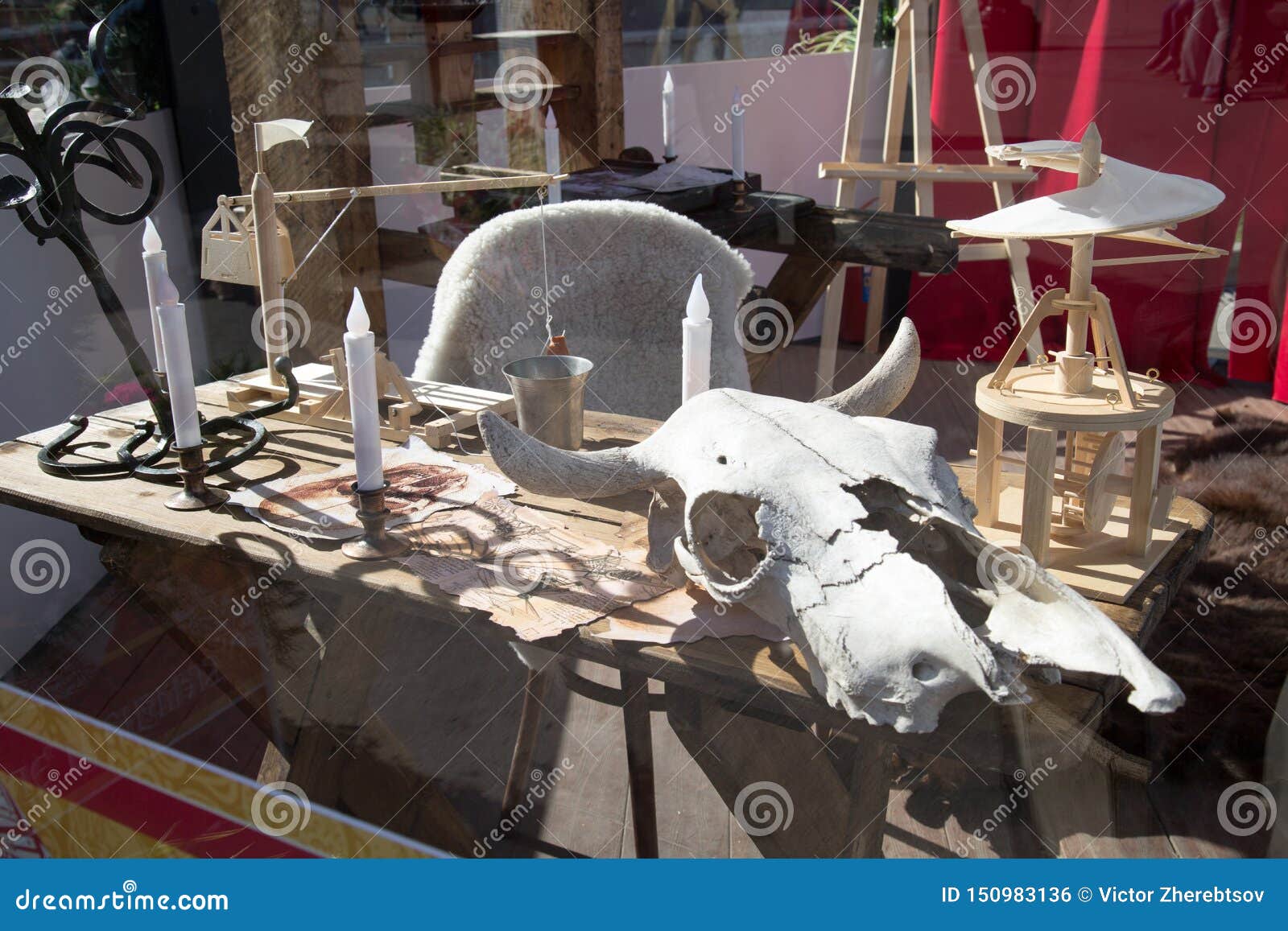 The Skull of a Bull on the Table Medieval Researcher. Selective Focus ...