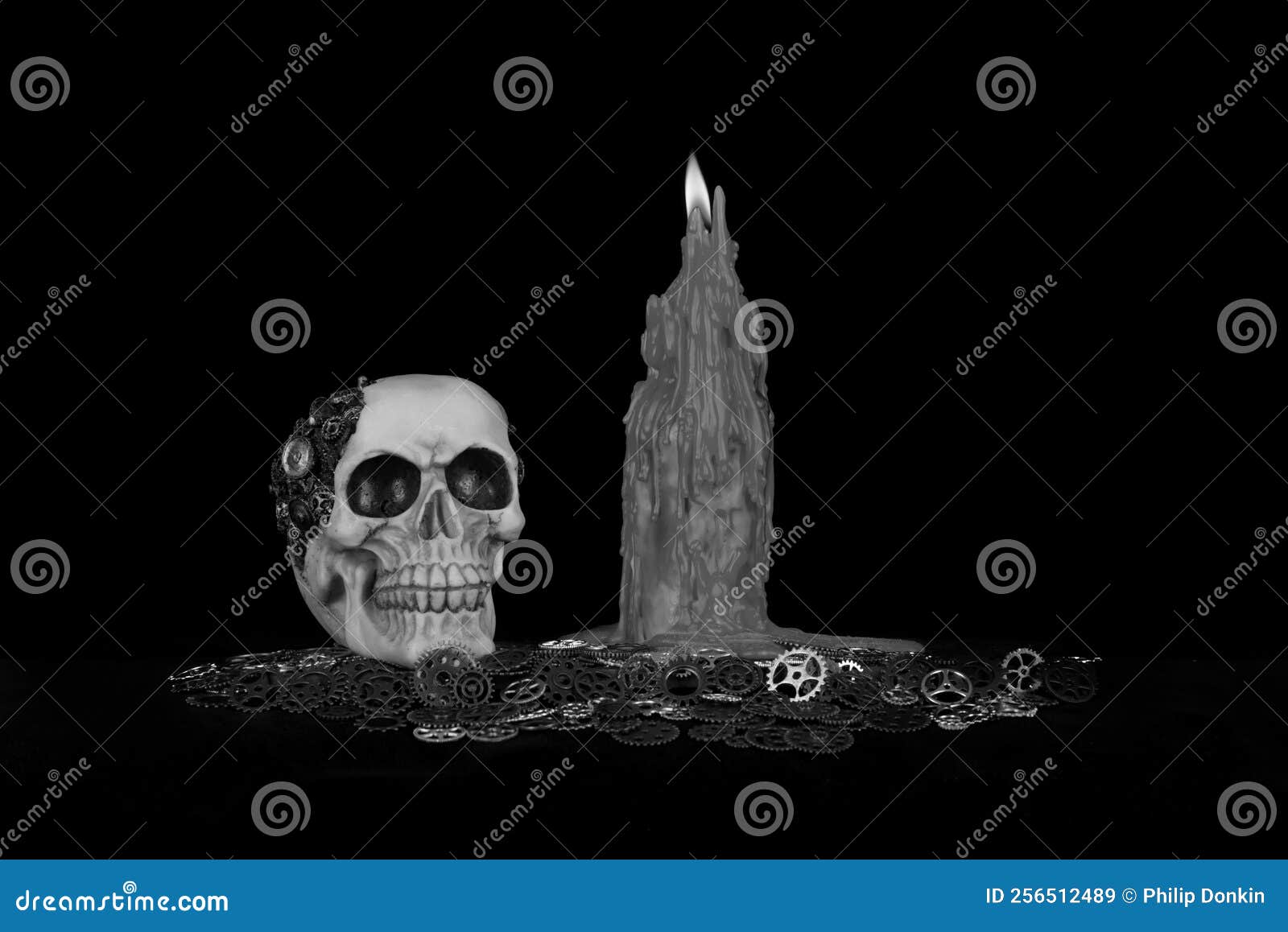 Skull and Cogs Home Made Skull with Cogs for Brains Dramatic Day of ...