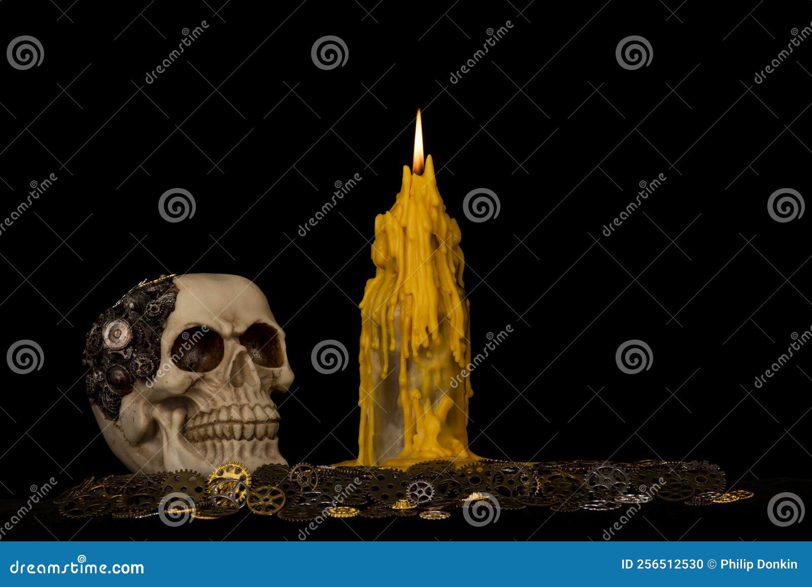 Skull and Cogs Home Made Skull with Cogs for Brains Dramatic Day of ...