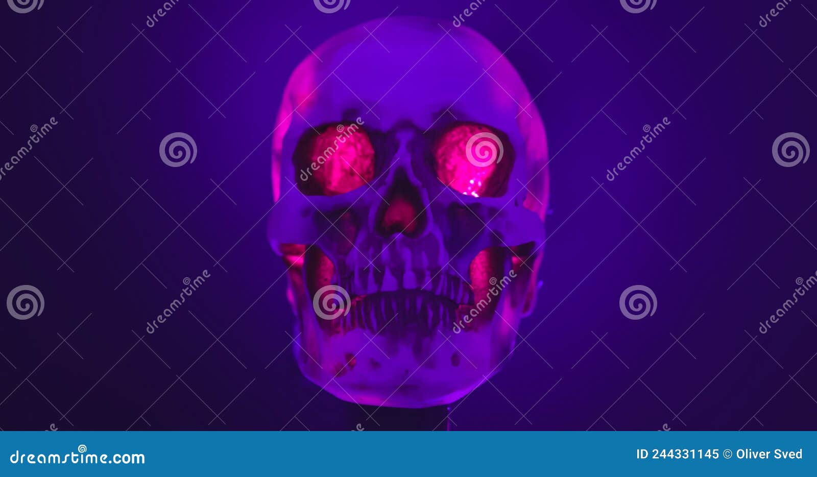 Skull with Colored Lighting Loop Closeup Stock Image - Image of ...