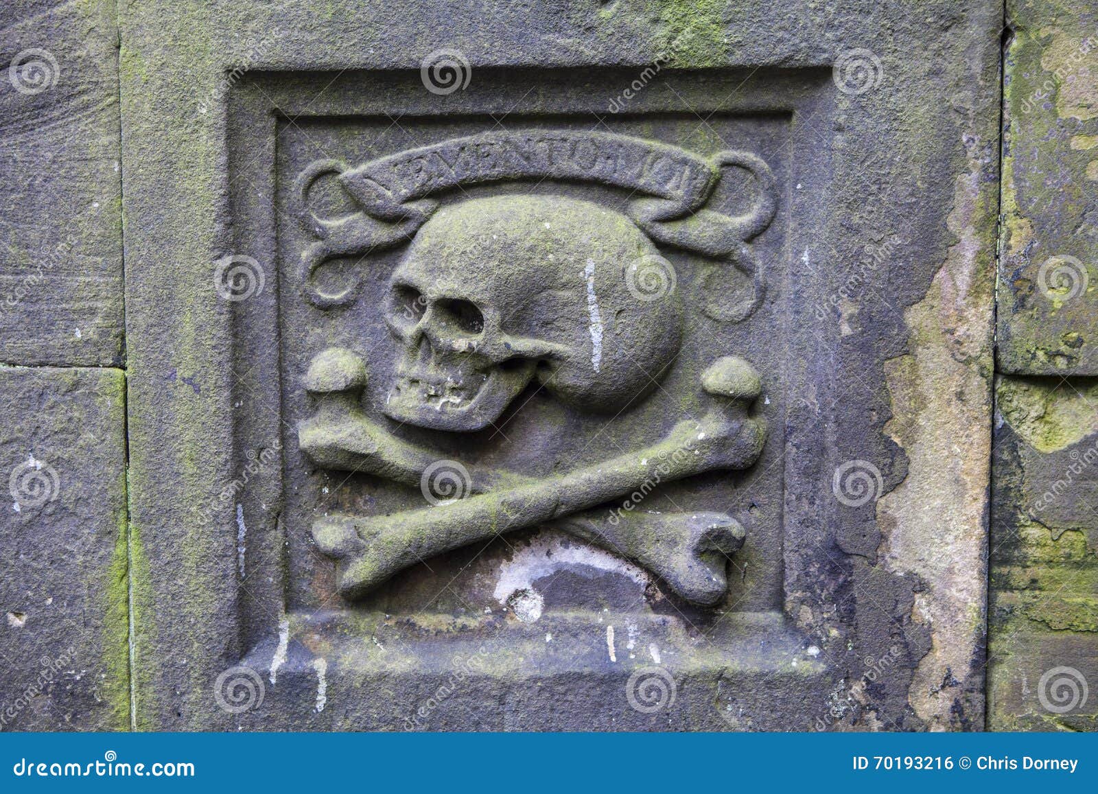 Skull and Crossbones stock photo. Image of ghostly, crossbones - 70193216