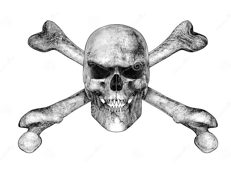 Skull and Crossbones - Pencil Drawing Style Stock Illustration ...