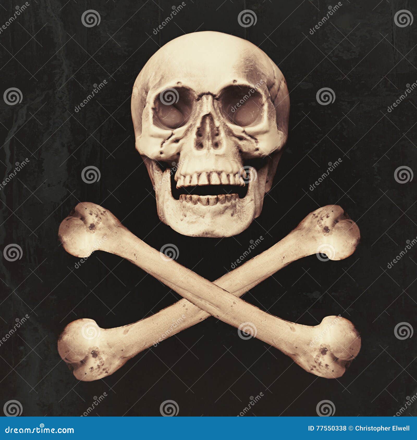 Skull And Crossbones, A Masonic Symbol, Belonging To A Tomb Of Recoleta ...