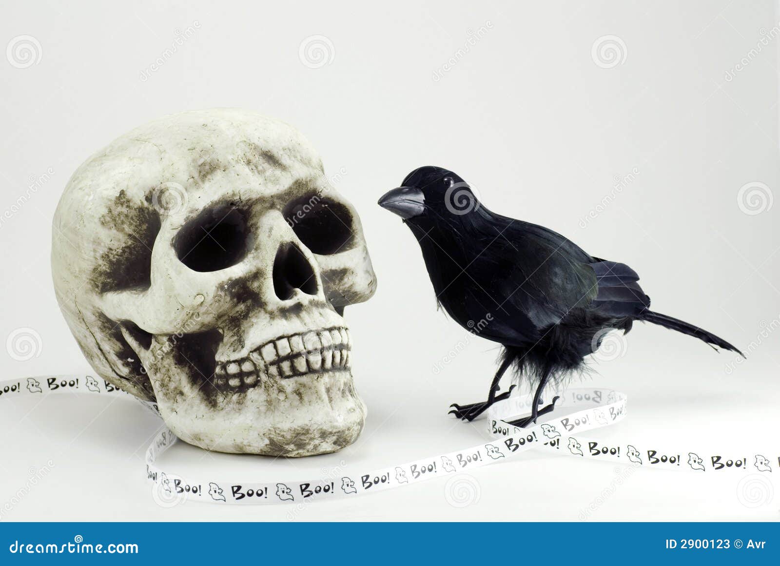 Skull, Crow, Halloween Banner Stock Image - Image of bone, october: 2900123