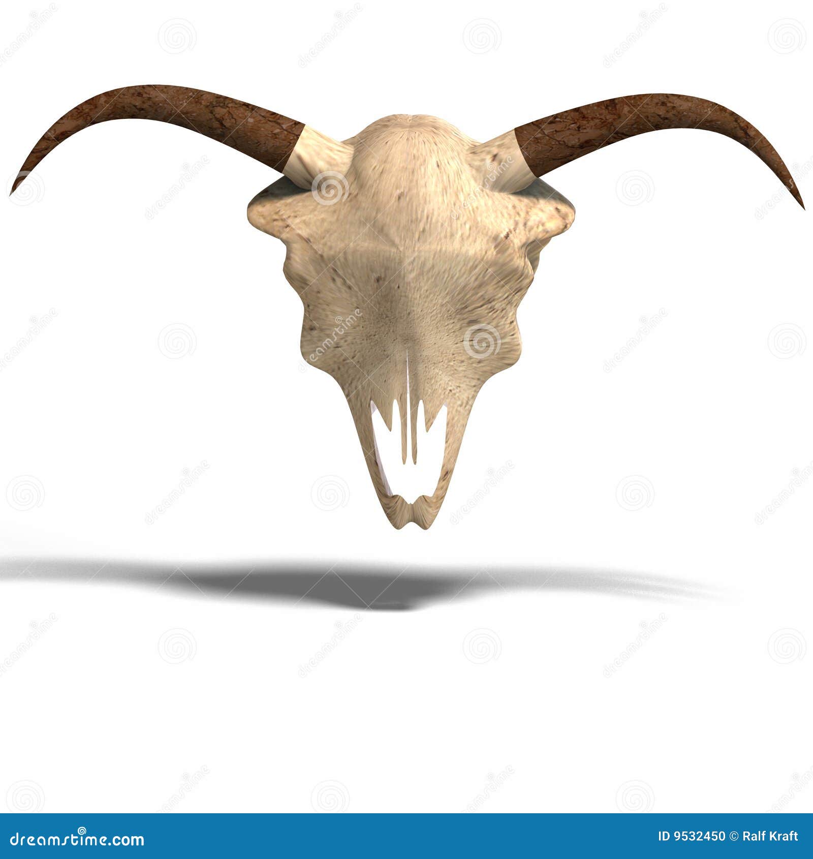 Skull of a dead animal stock illustration. Illustration of aridness ...