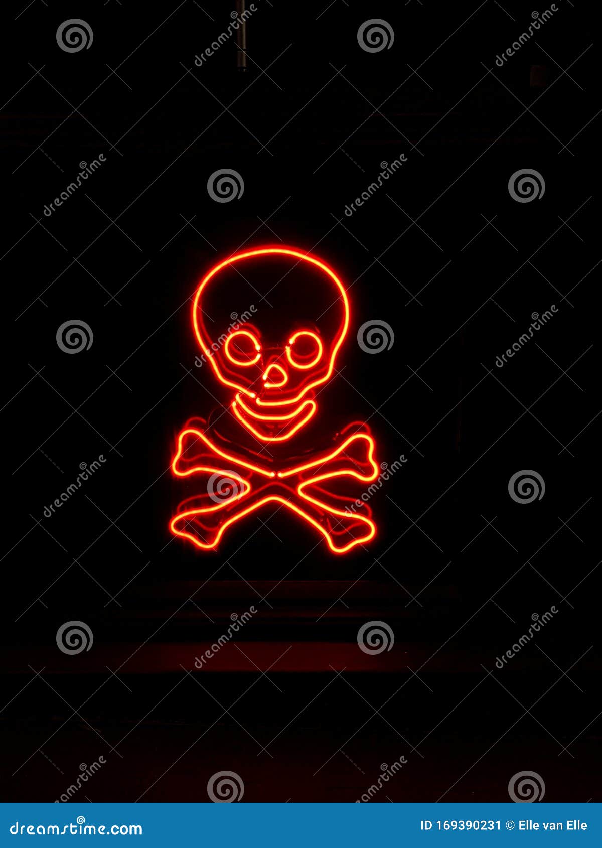 Skull Death Neon Capetown Sign Stock Image - Image of capetown, neon ...