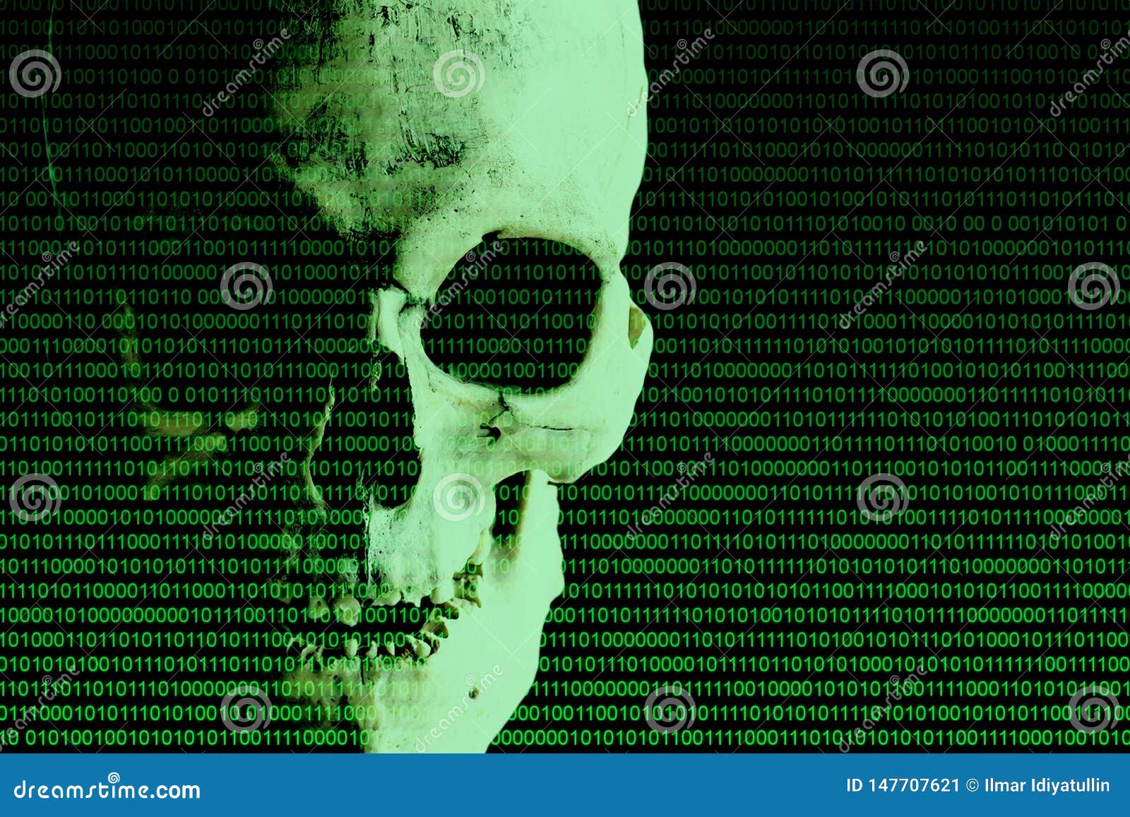 Skull in a digital matrix stock illustration. Illustration of cyber ...