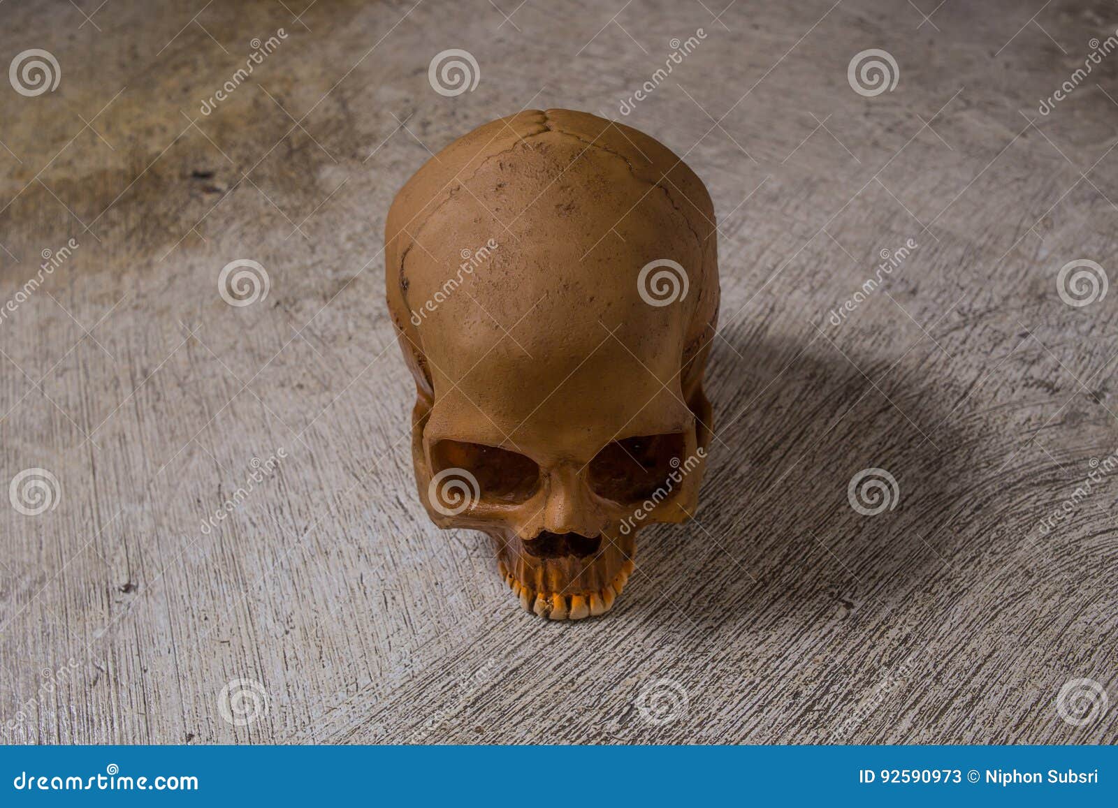 Skull on dirty floor image stock image. Image of model - 92590973