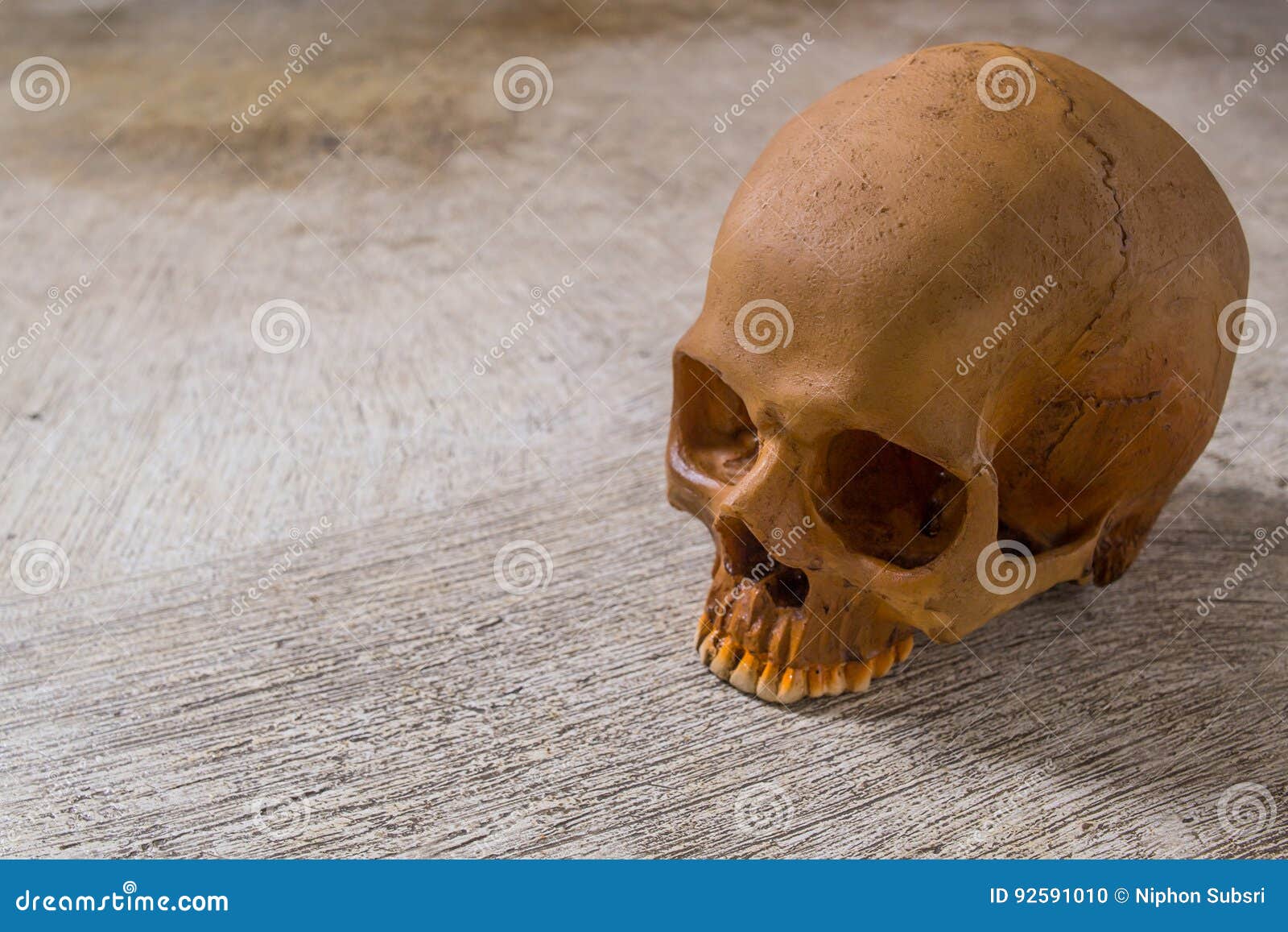 Skull on dirty floor image stock photo. Image of horror - 92591010