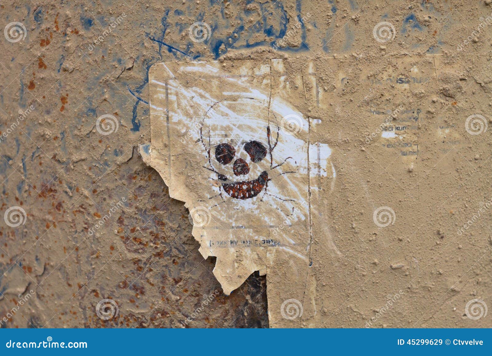 Skull stock image. Image of scratch, head, fracture, creepy - 45299629