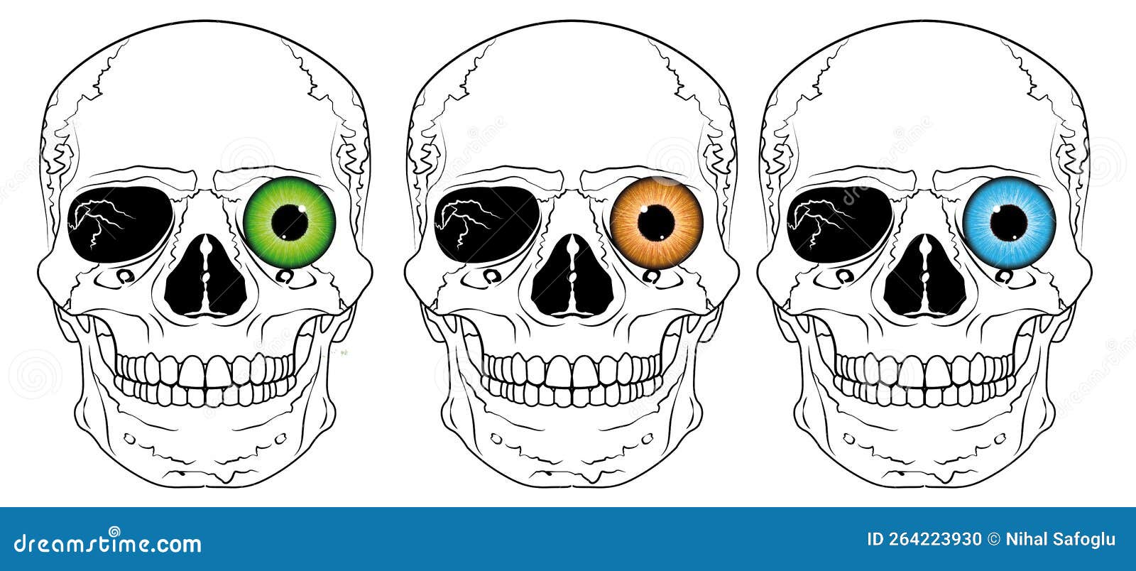 Skull Drawing with One Eye Alive Stock Vector - Illustration of anatomy ...