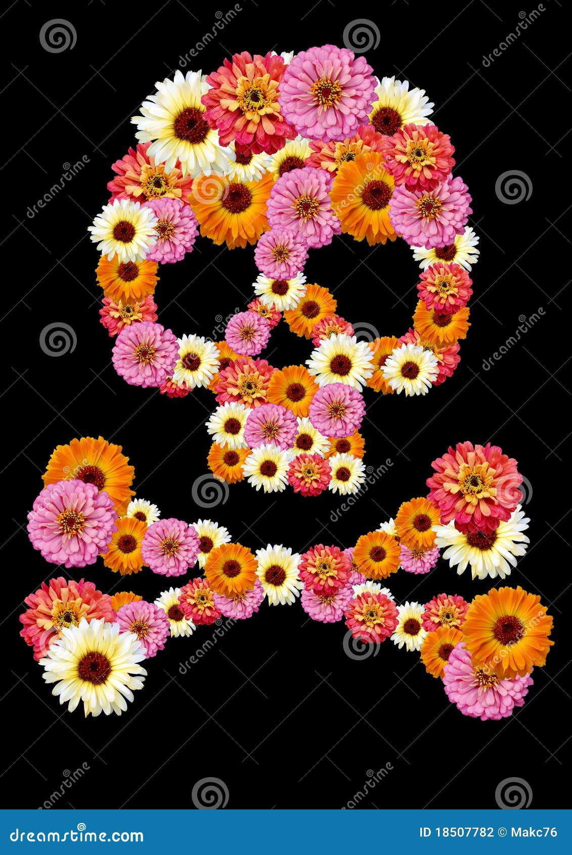 Skull flower stock photo. Image of death, floral, people - 18507782