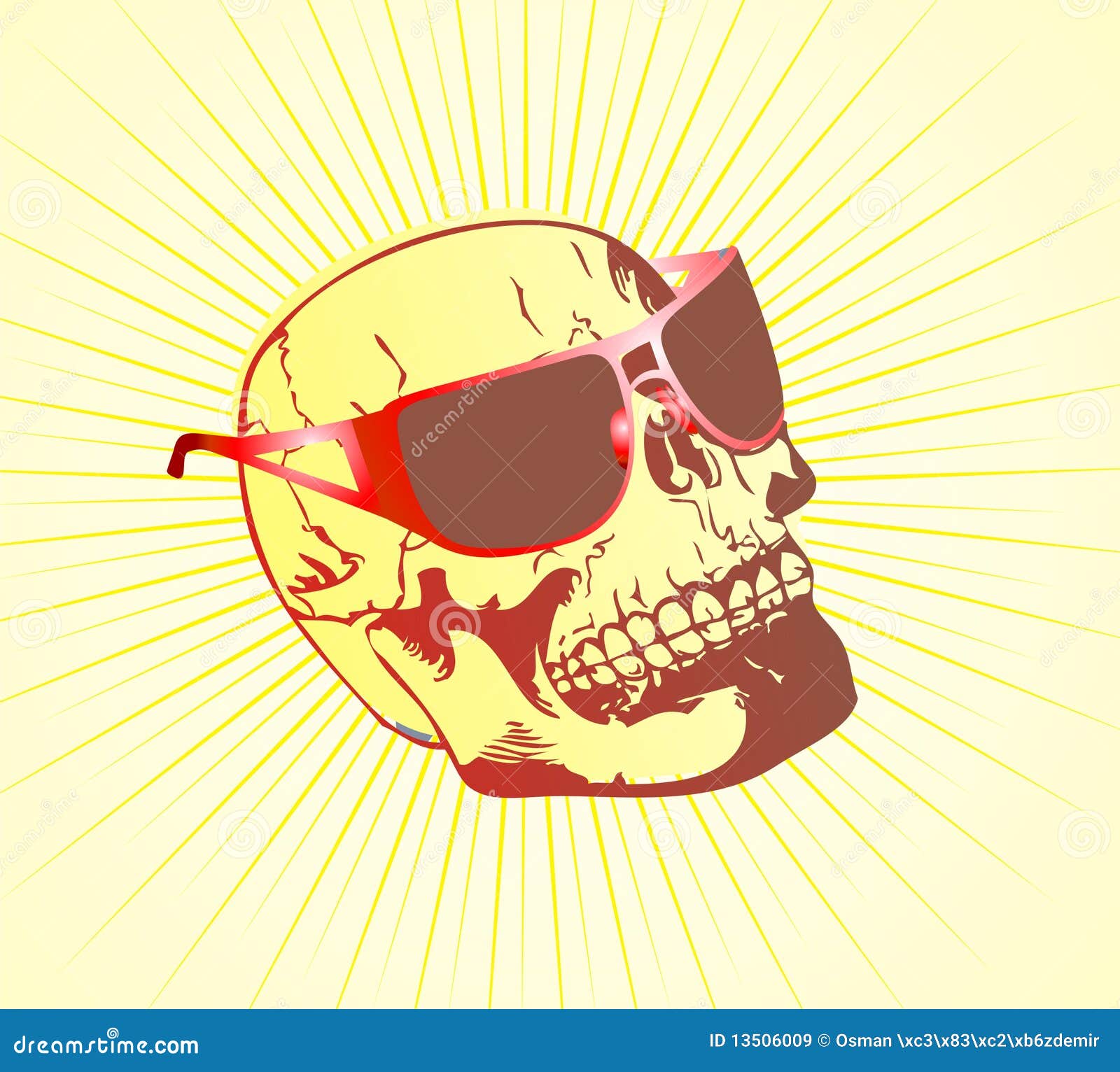 Skull in glasses stock vector. Illustration of vector - 13506009