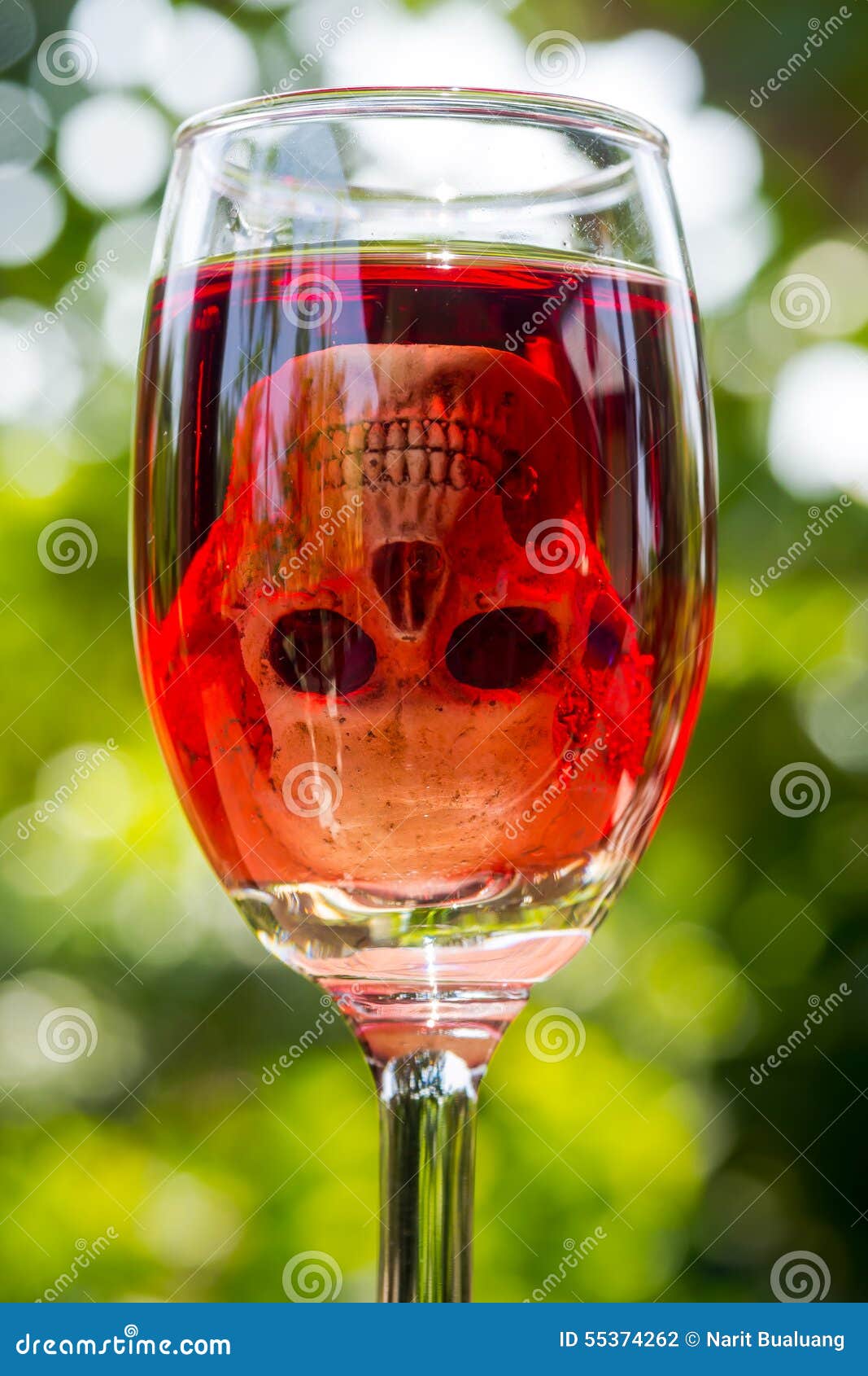 Skull and grape wine stock photo. Image of corpse, background - 55374262