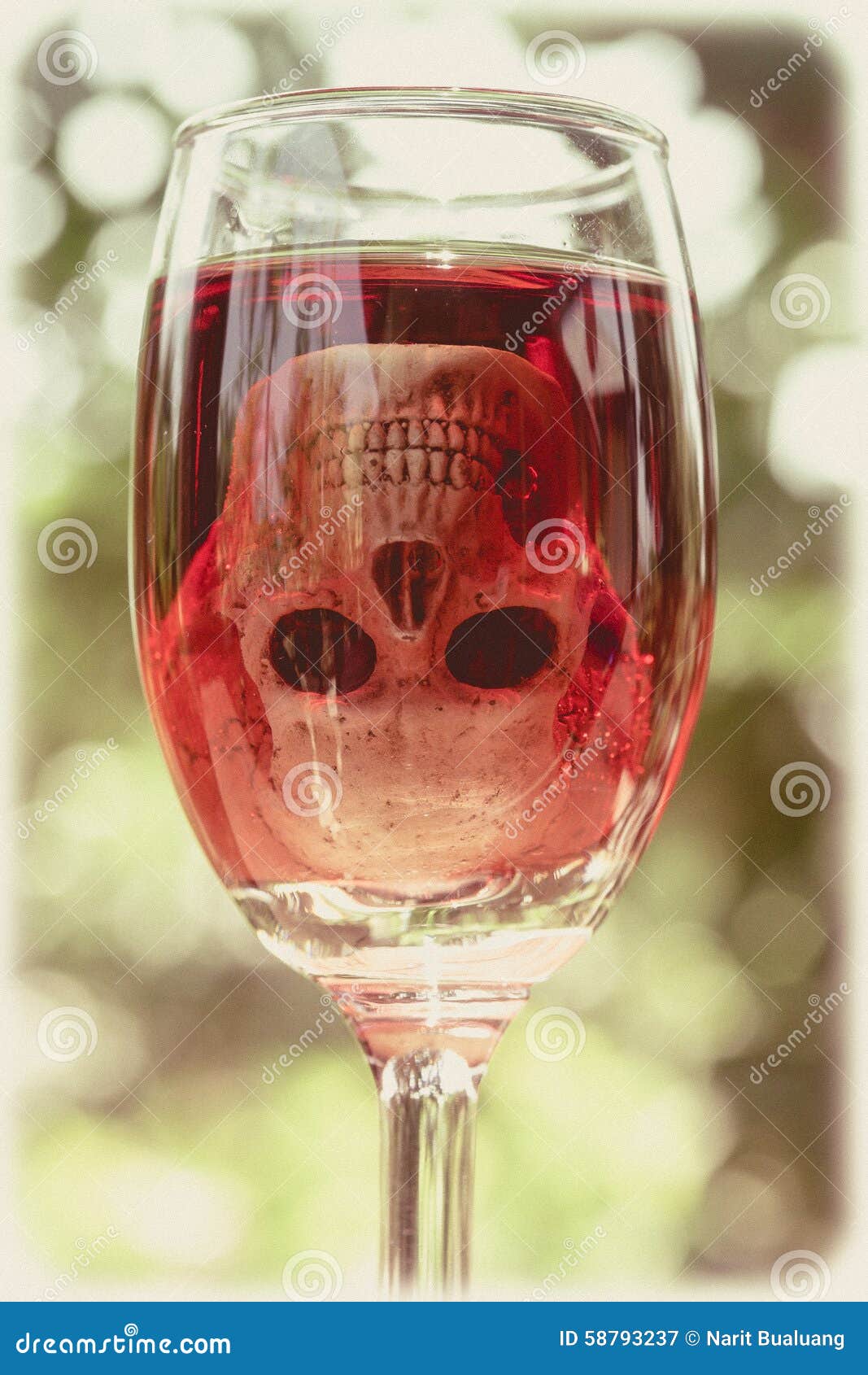 Skull and grape wine stock image. Image of physiology - 58793237