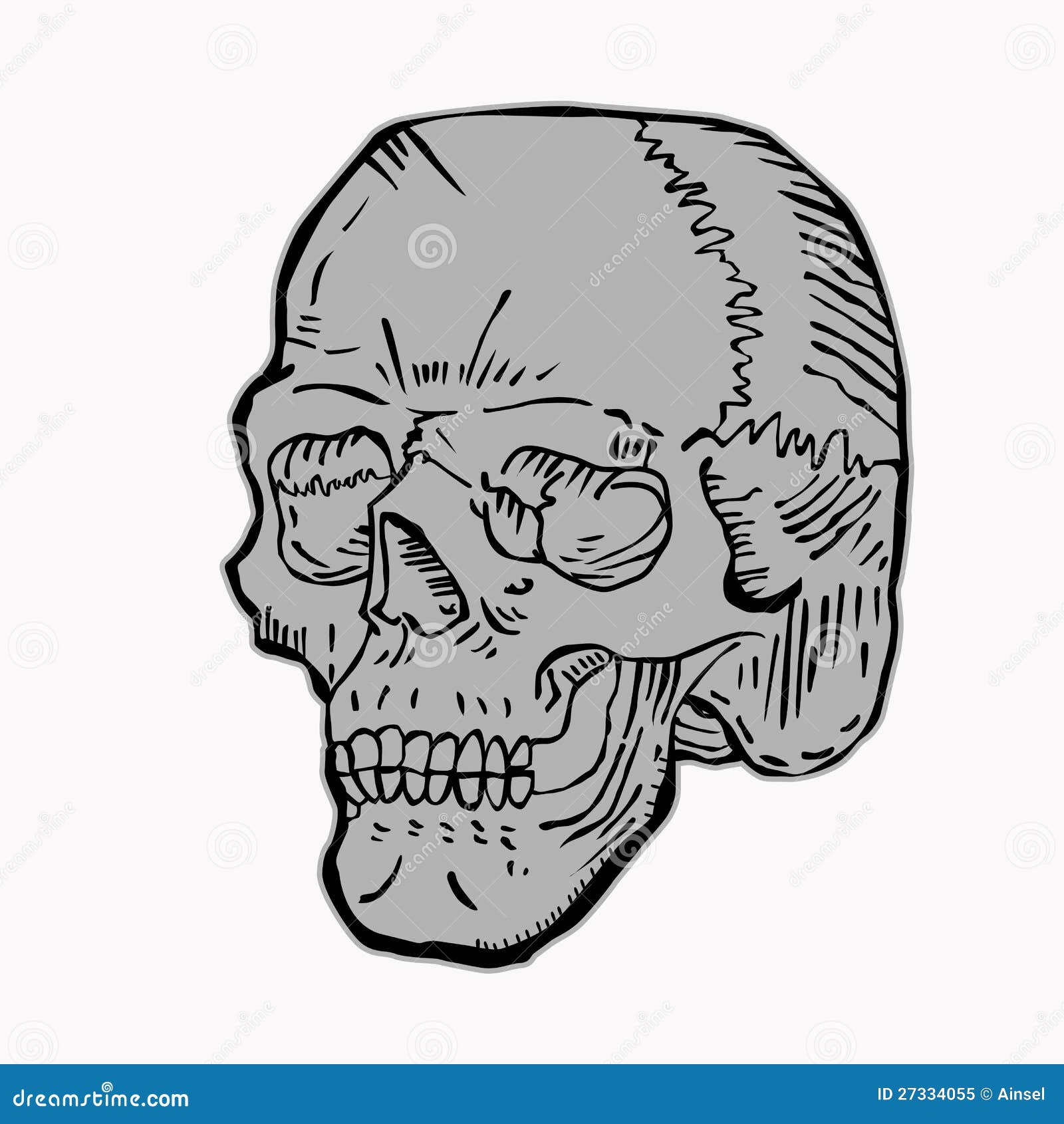 Skull grey stock vector. Illustration of death, black - 27334055