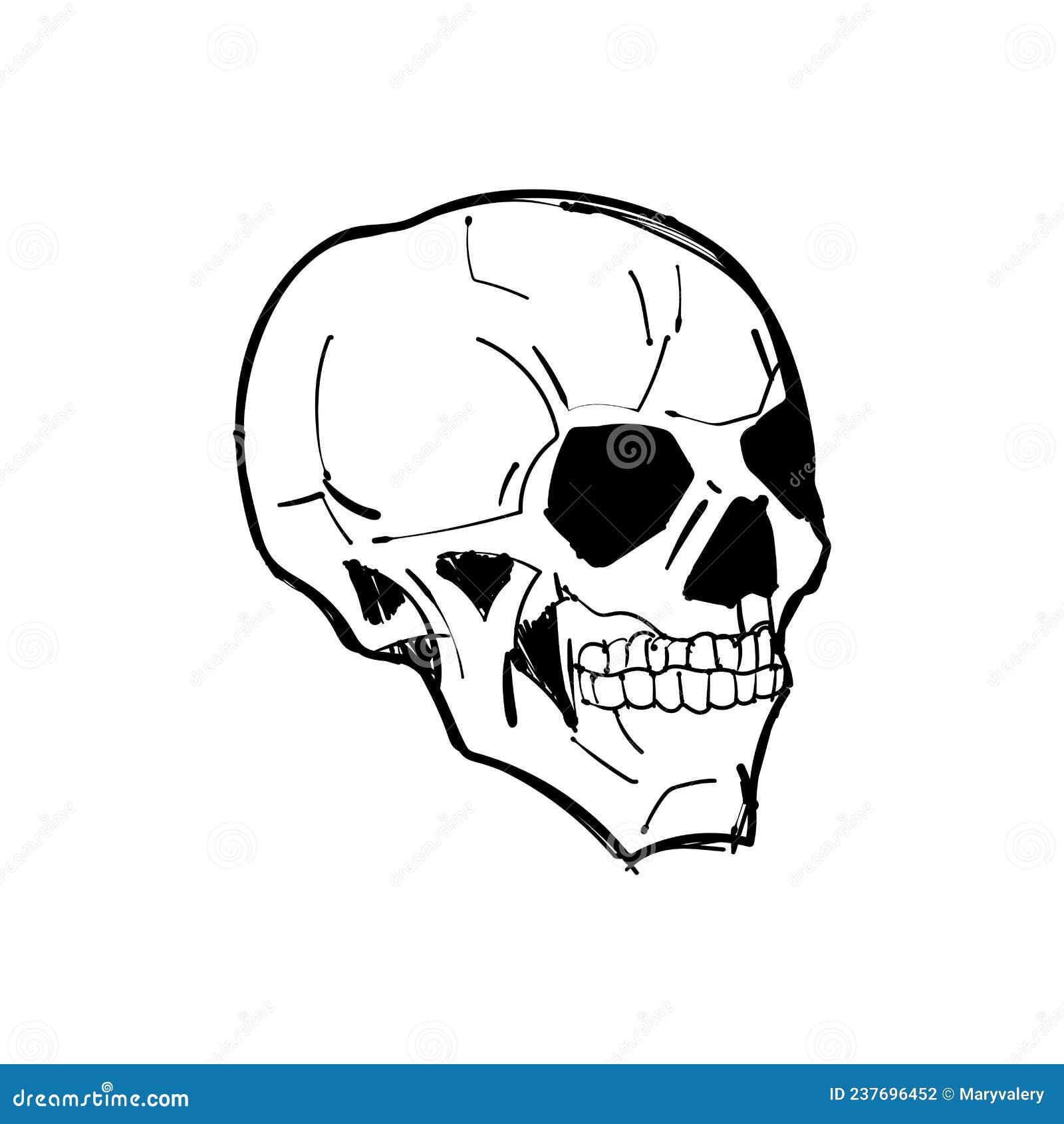 Skull Hand Drawing. Skeleton Head Stock Vector - Illustration of ...