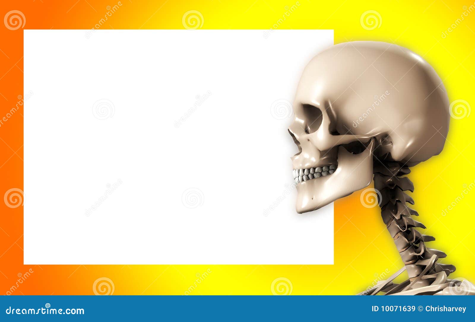 Skull Head with Blank Sign stock illustration. Illustration of horror ...