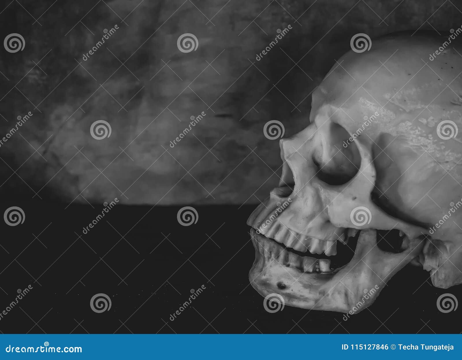 Skull Head stock photo. Image of evil, fear, dead, bone - 115127846