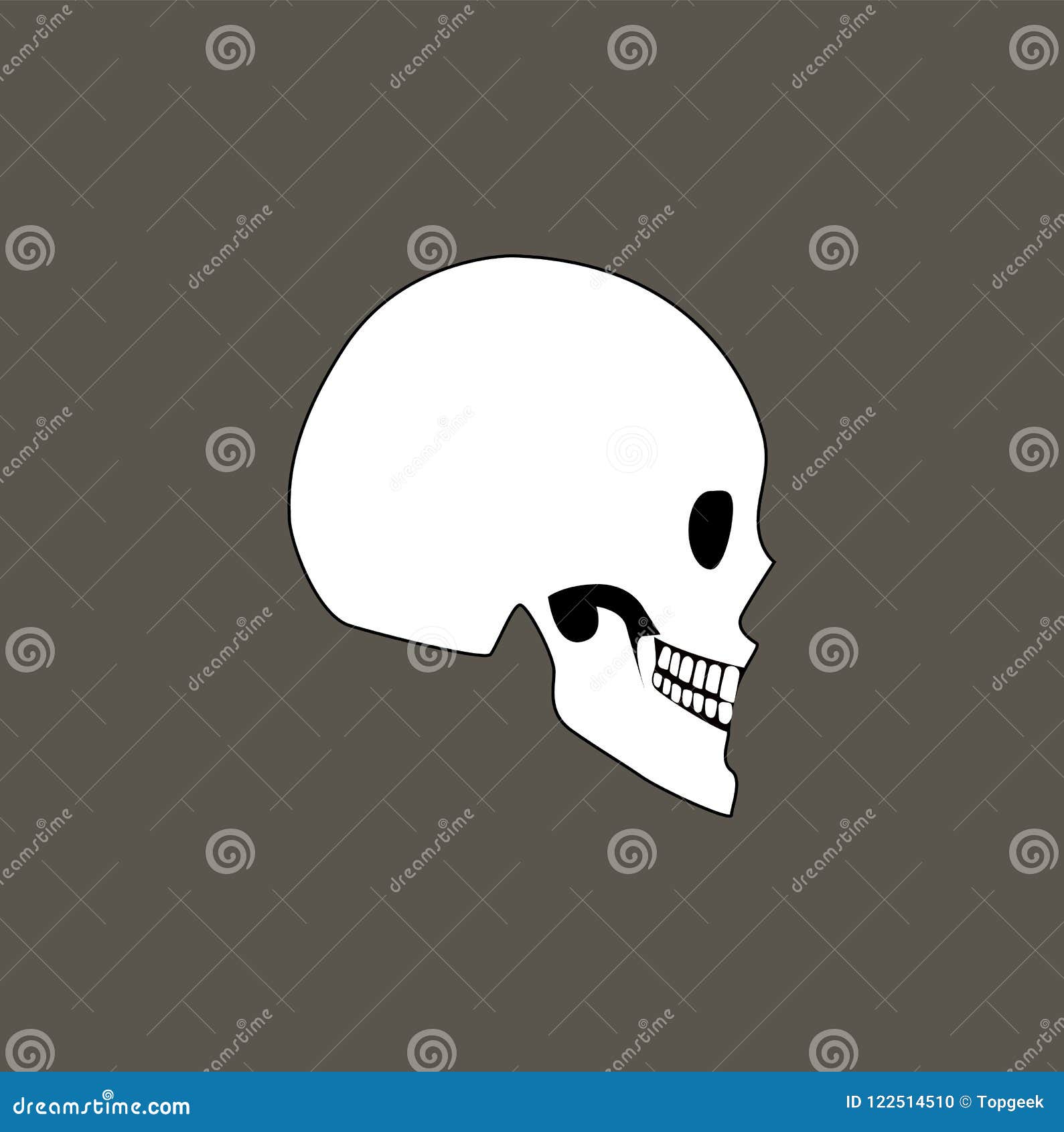 Skull of Human Profile View Vector Illustration Stock Vector ...