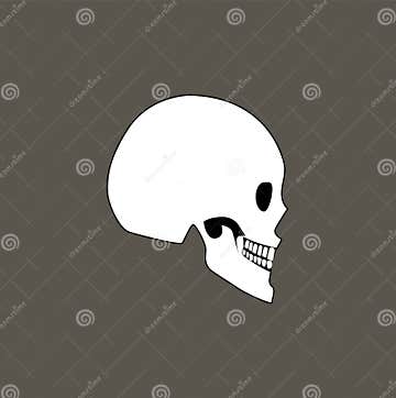 Skull of Human Profile View Vector Illustration Stock Vector ...