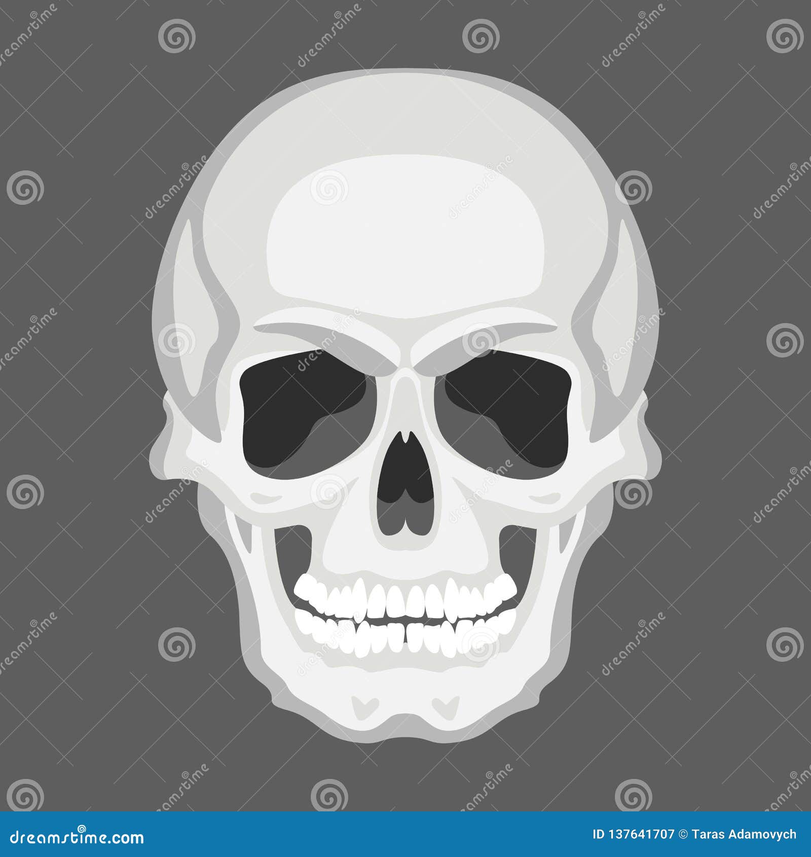 Skull Human,vector Illustration ,flat Style, Front Stock Vector ...