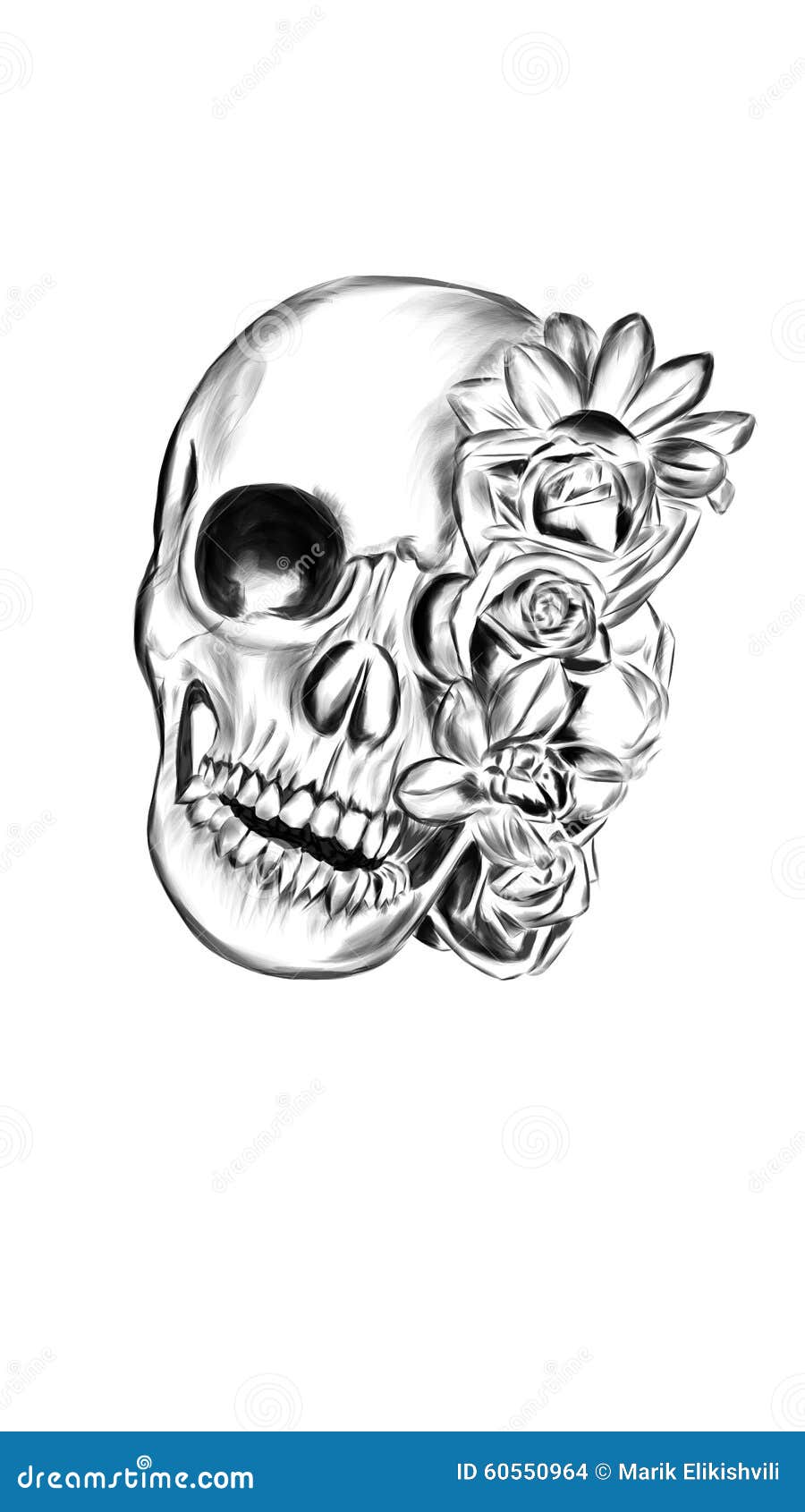 Skull illustrated stock illustration. Illustration of dirty - 60550964