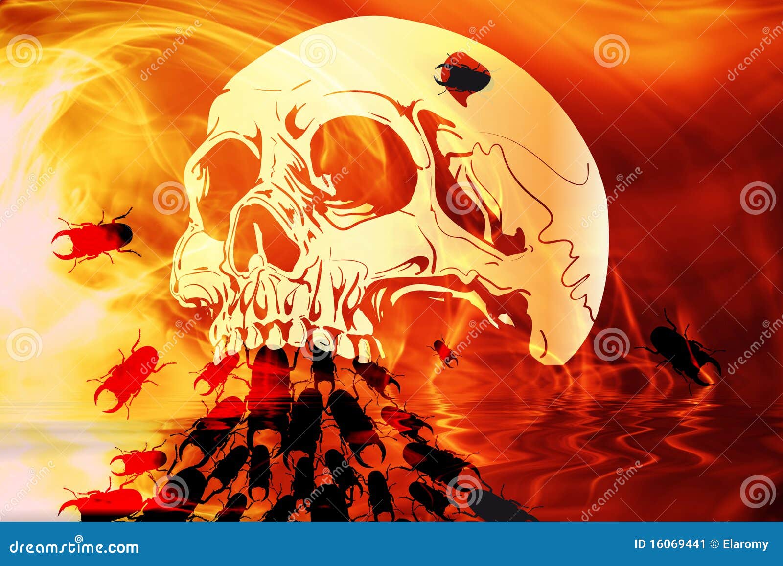 Skull and Insect Illustration Stock Illustration - Illustration of bugs ...