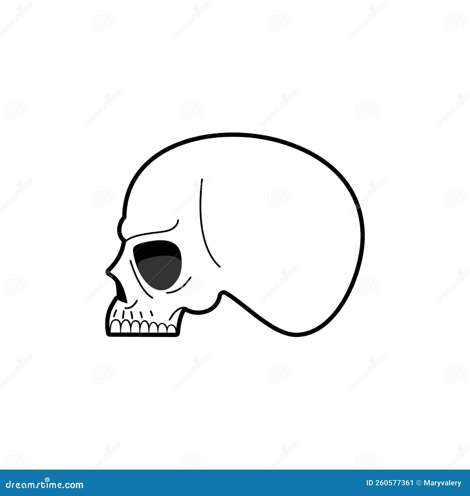 Skull Isolated. Cranium Vector Illustration Stock Vector - Illustration ...