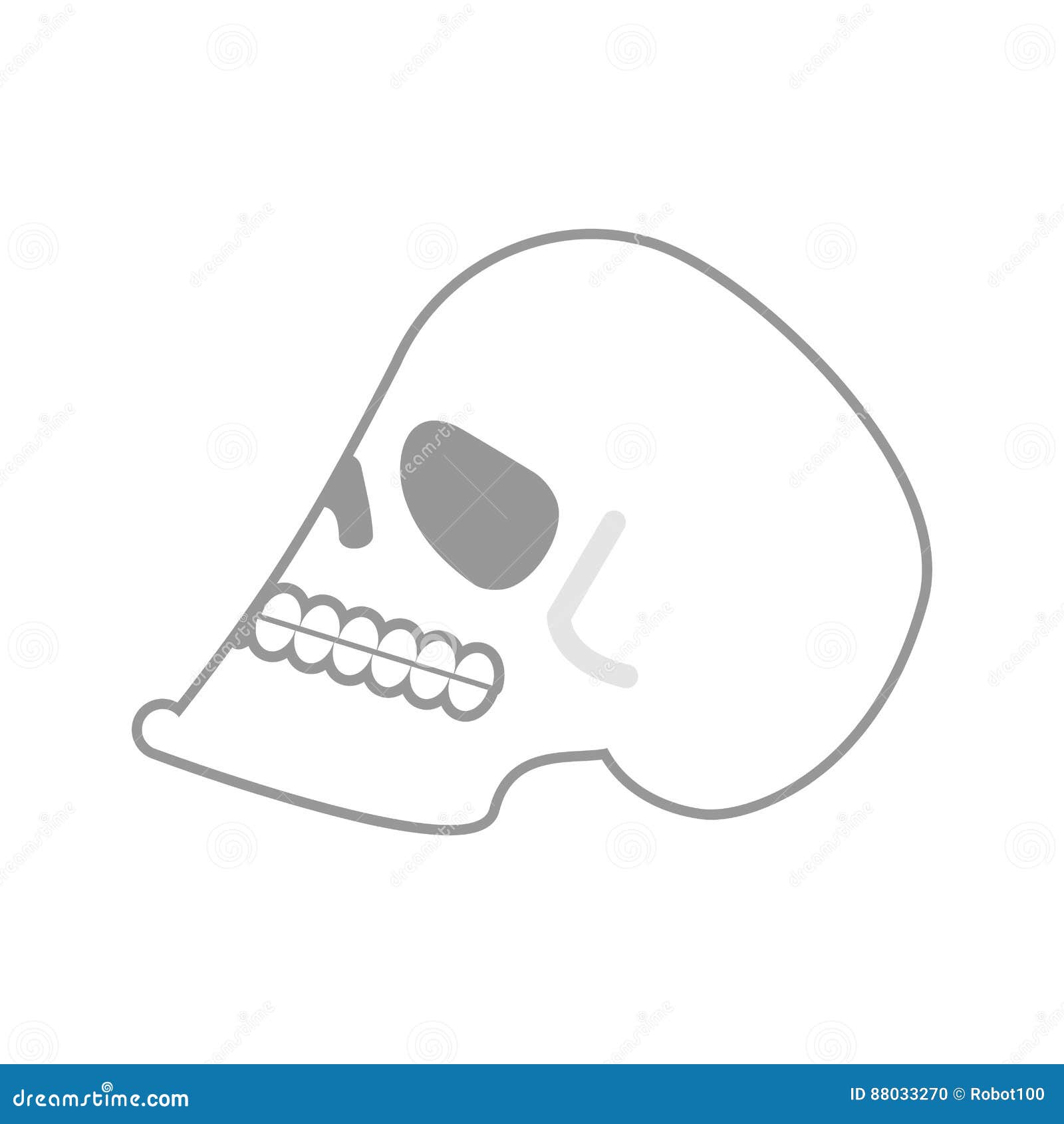 Skull Isolated. Head Of Human Skeleton. Anatomy Illustration ...