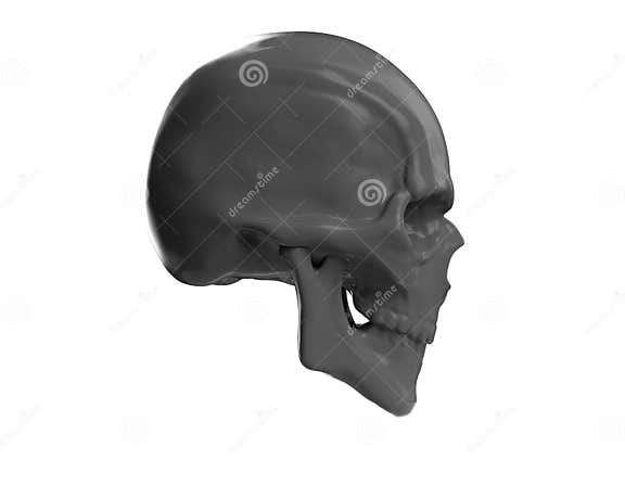 Skull with Jaw Open Left 3d Render Stock Illustration - Illustration of ...