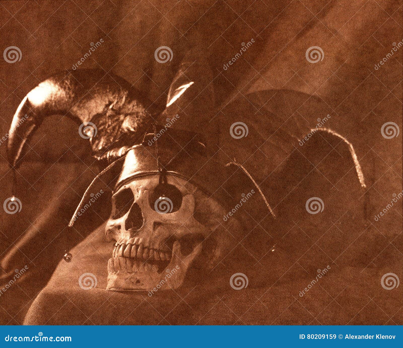 Skull stock image. Image of human, style, body, tone - 80209159