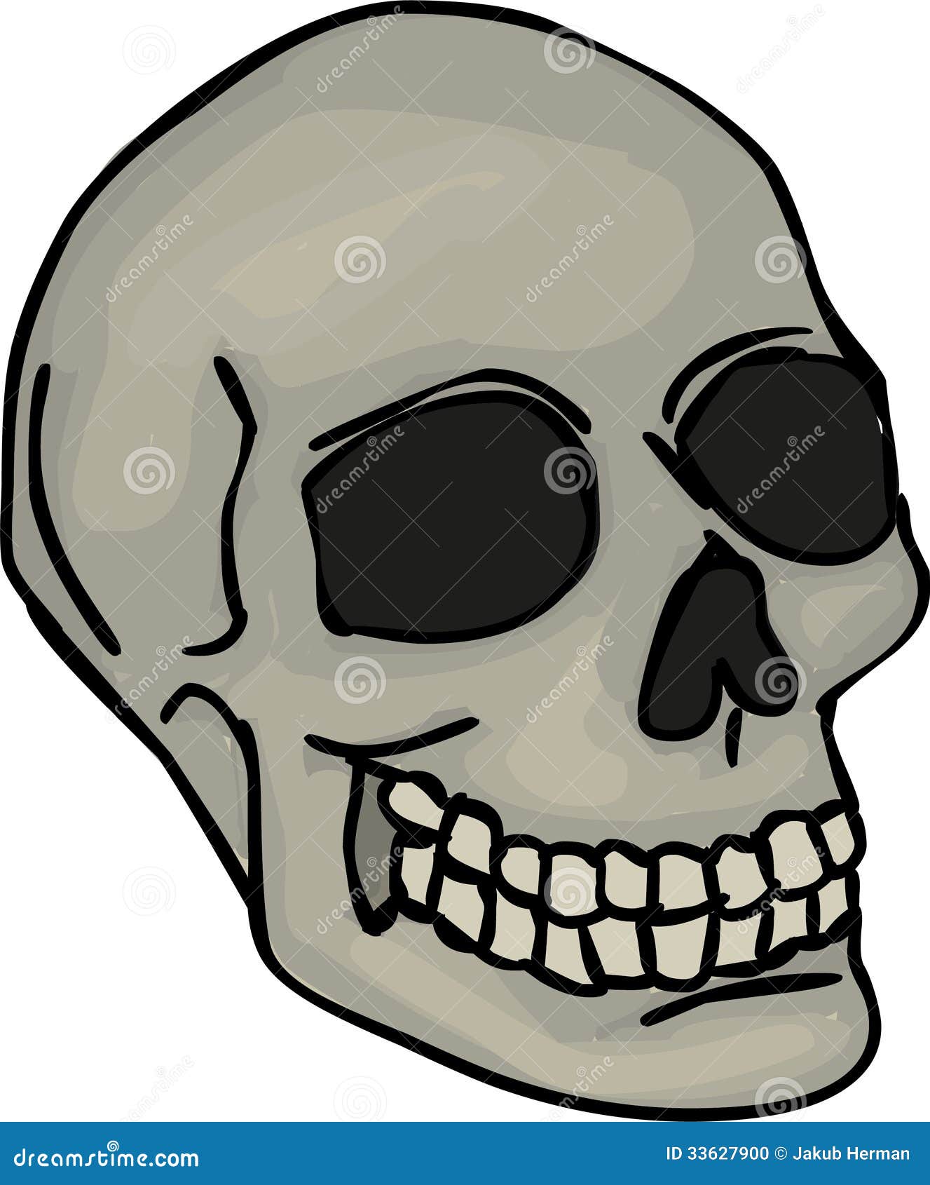 Skull stock vector. Illustration of skeleton, dead, smiling - 33627900