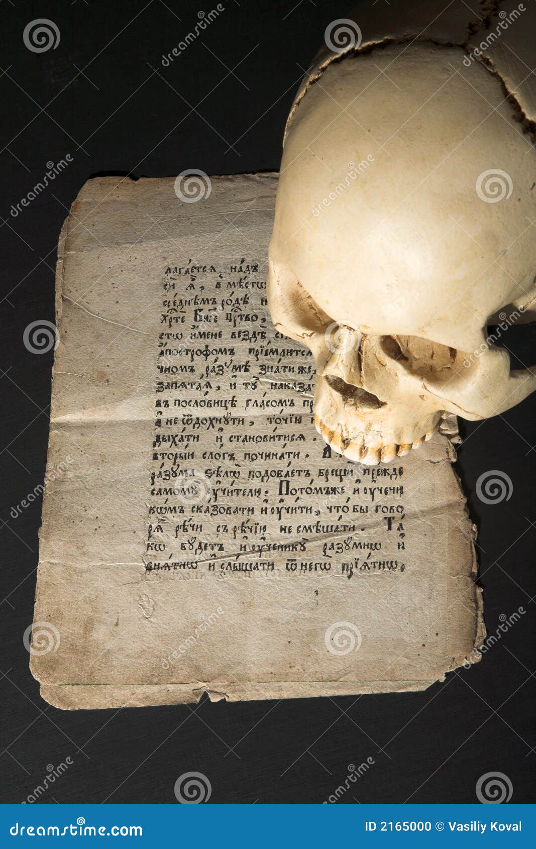 Skull and manuscript stock photo. Image of skulls, concepts - 2165000