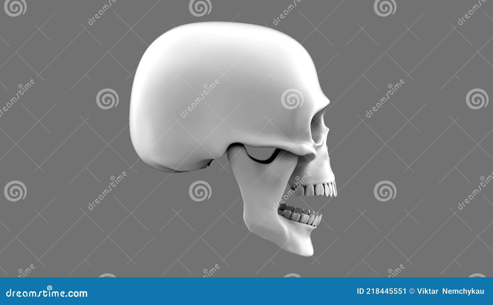 Skull Profile Open Jaw