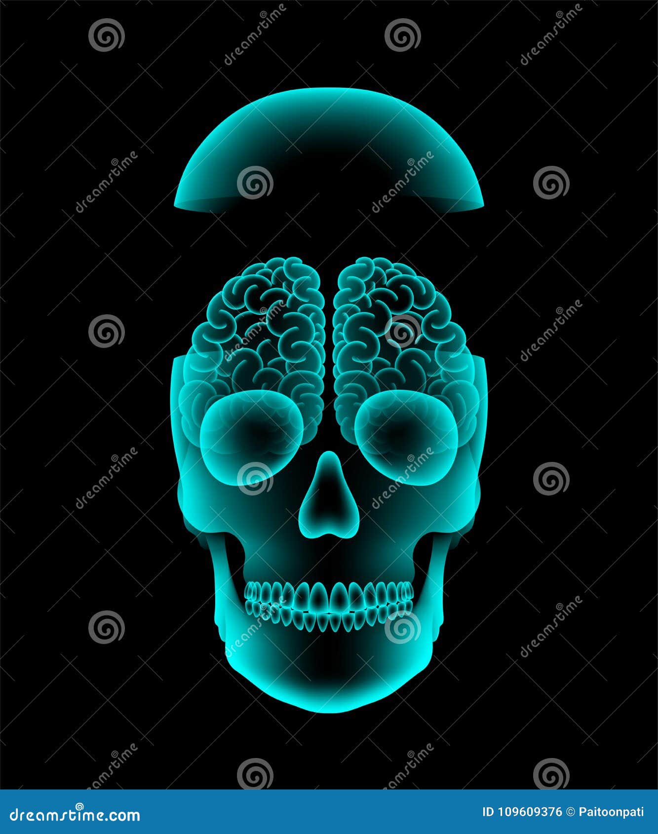 Skull Open Mouth Fire. Head Of Skeleton Open Lower Jaw. Vector I ...