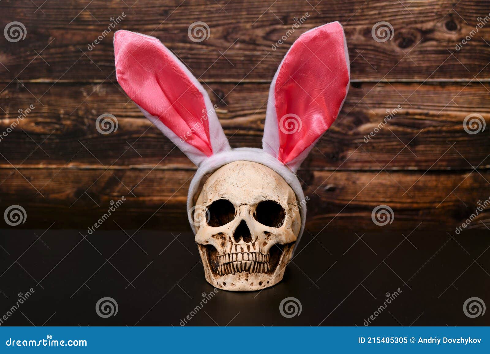 Skull with Pink Ears of the Easter Bunny Stock Image - Image of blank ...